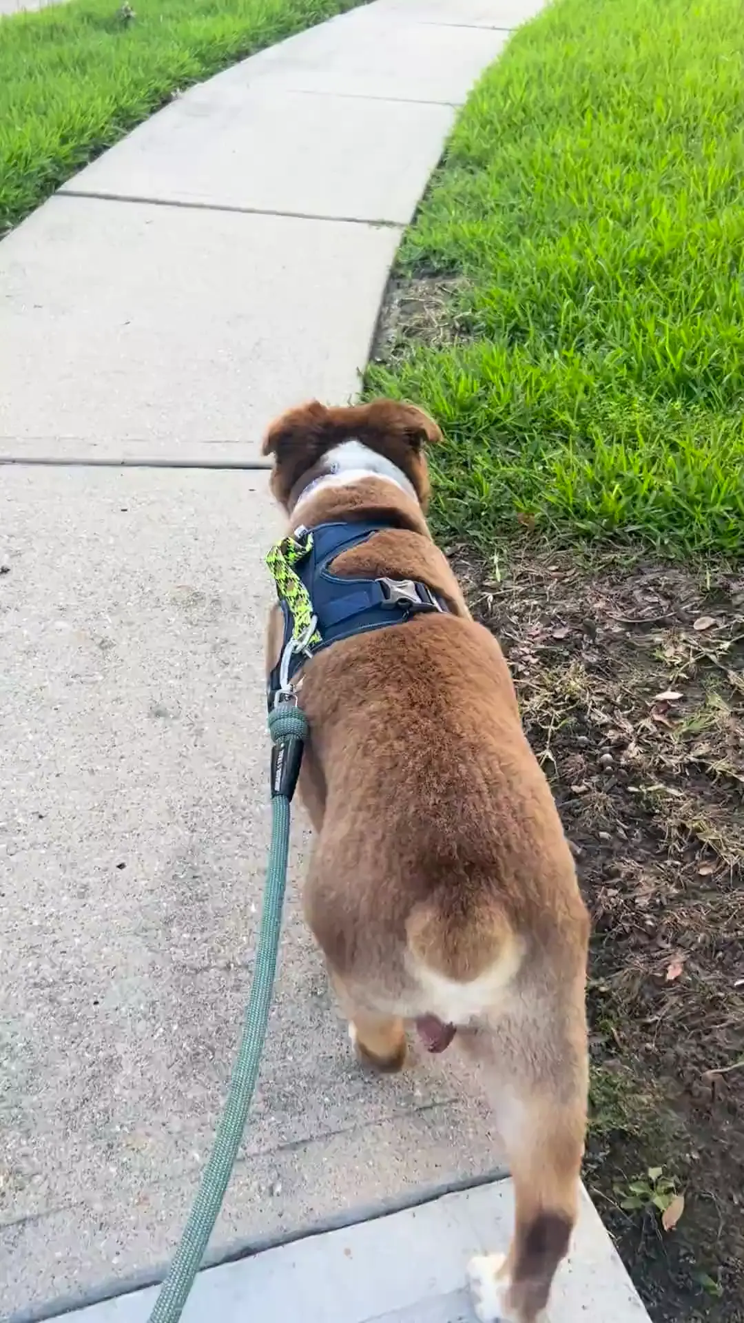 His sway | Scrolller