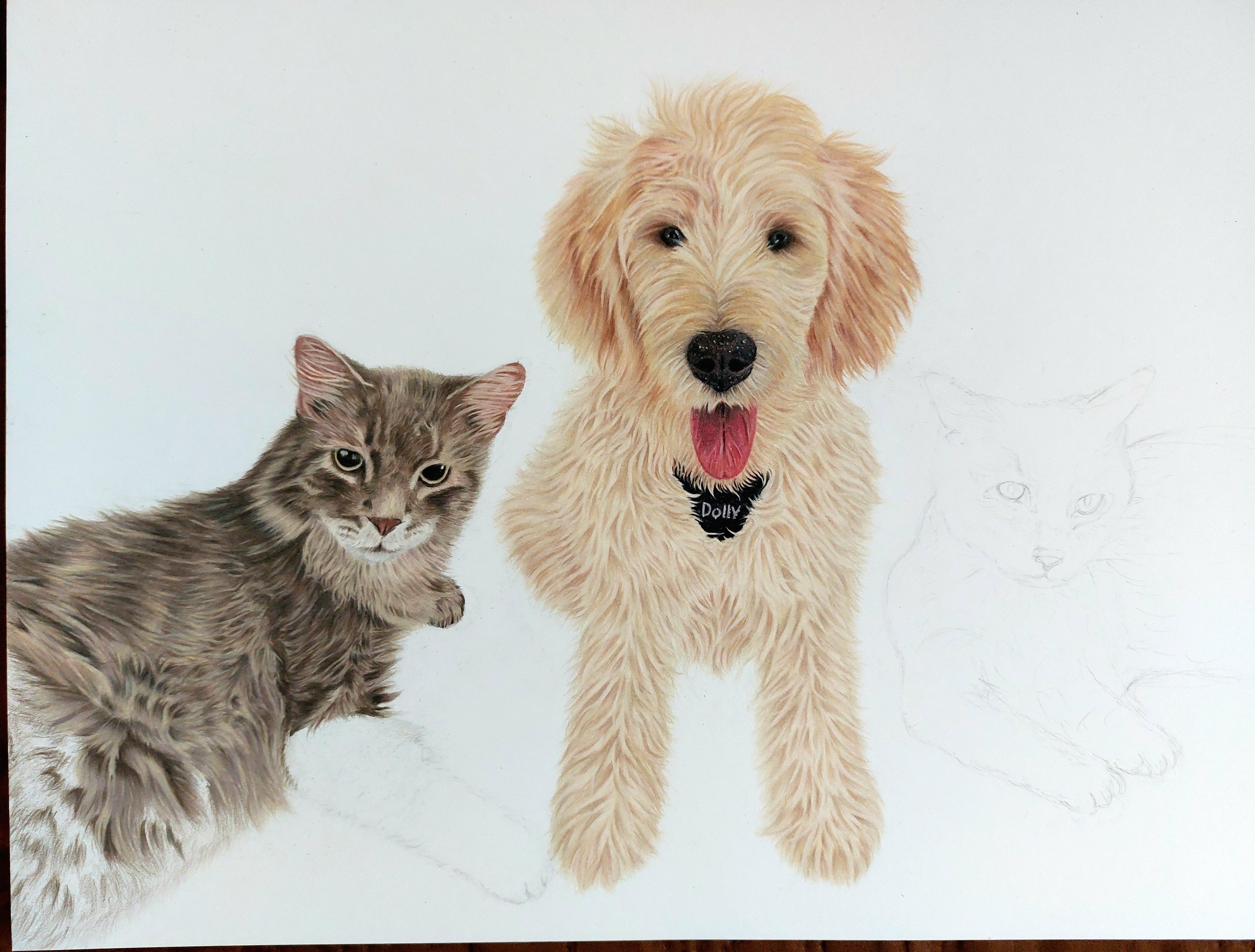 Discover more like Dogpictures: Colored pencil portrait in progress, in the left is Maverick, in ...