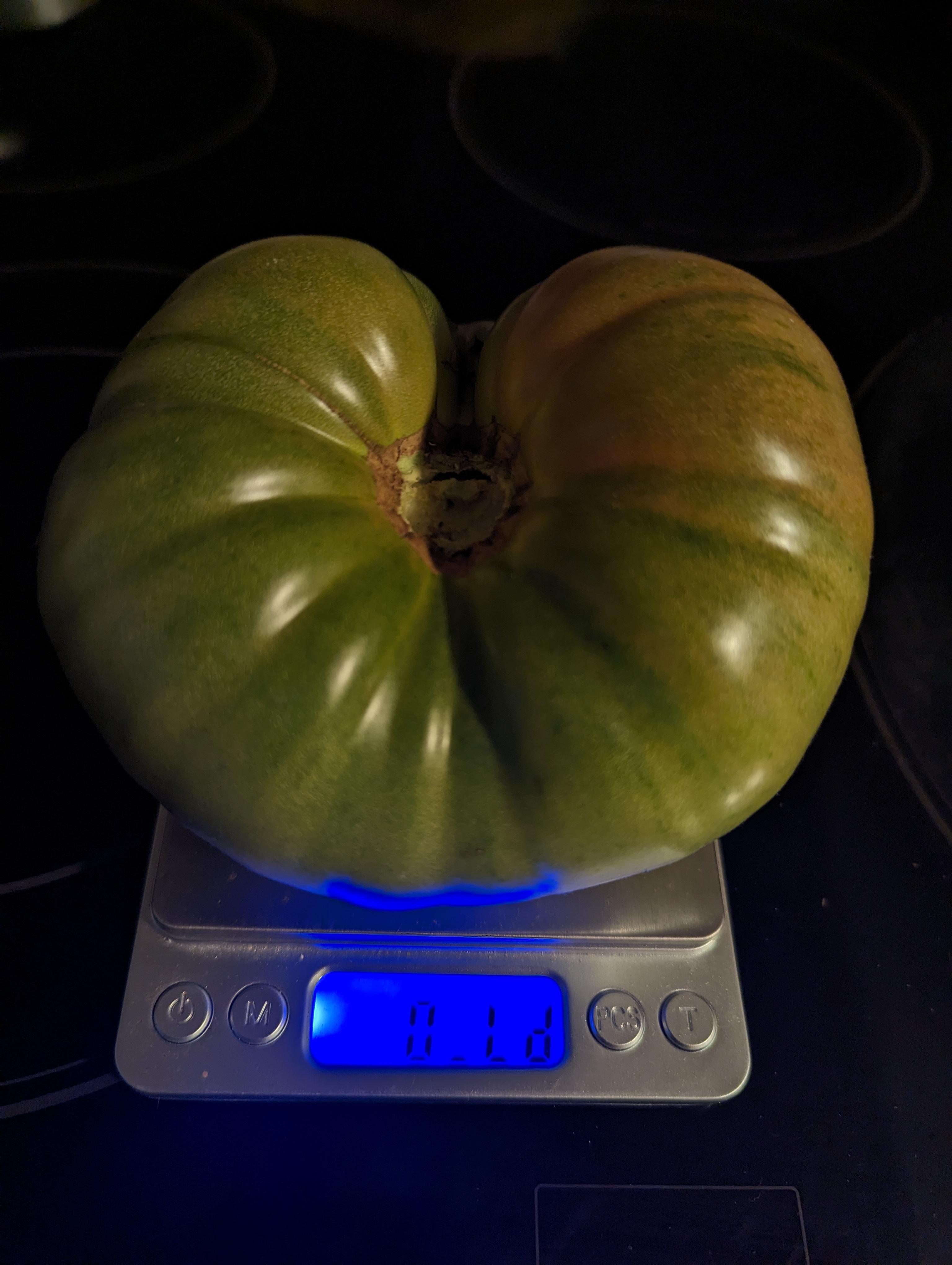 Maxed out my scale. | Scrolller