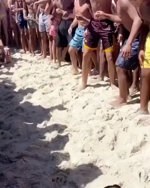 HMC as I try to stop this train | Scrolller