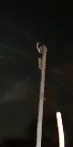 HMFT after I climb an electric pole and get lit | Scrolller