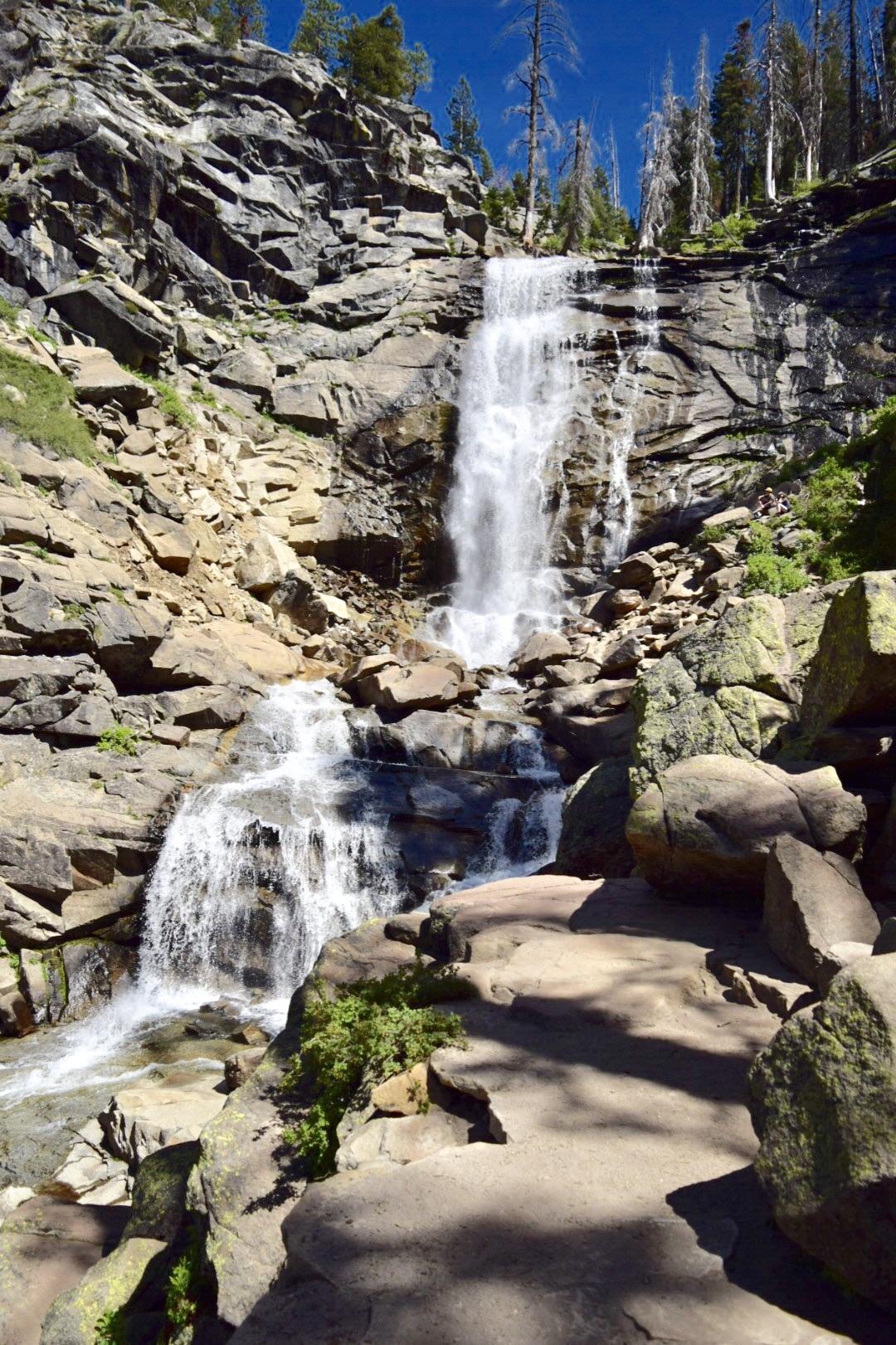 Forest water fall | Scrolller