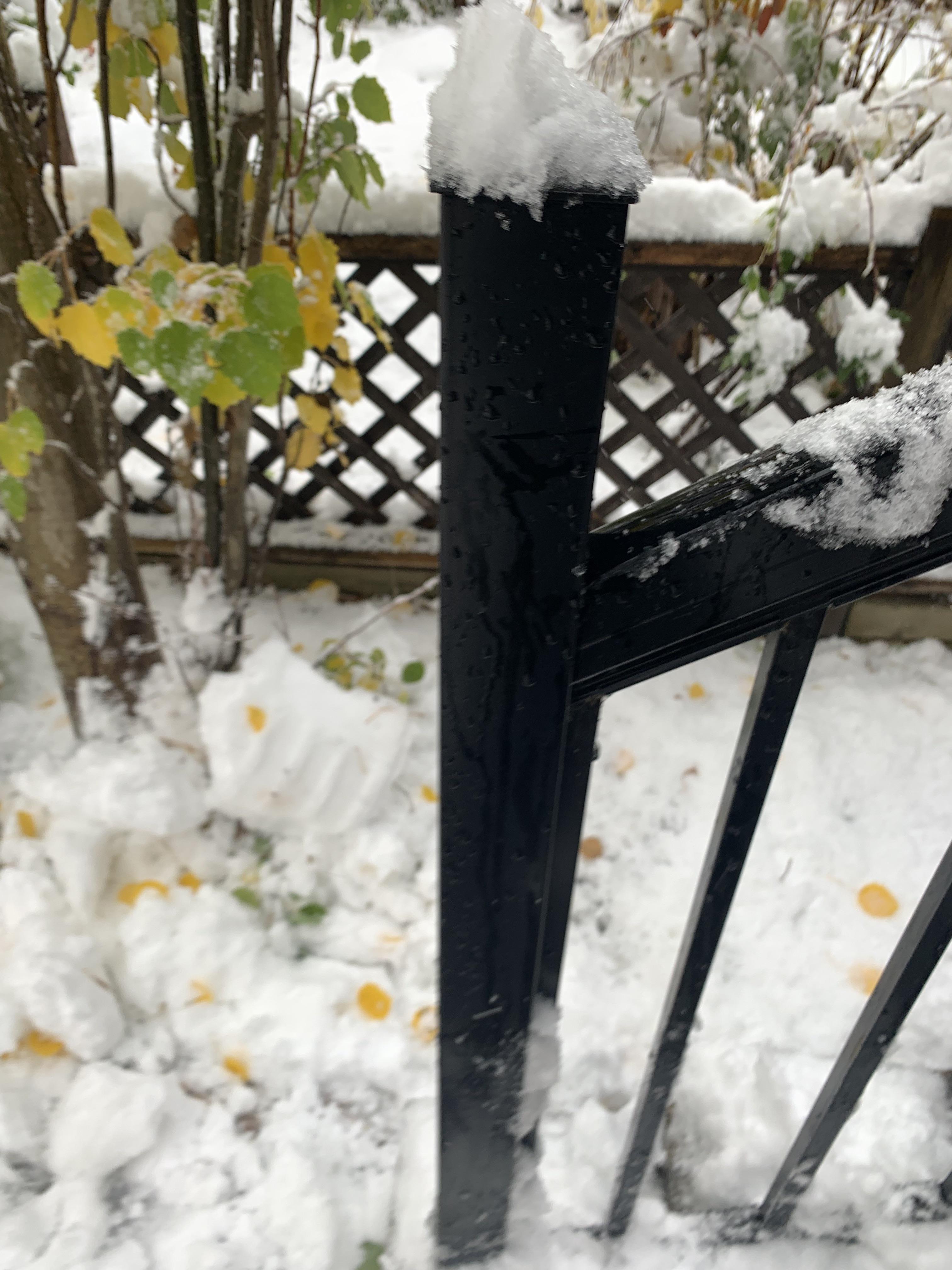 Railing gap issue | Scrolller