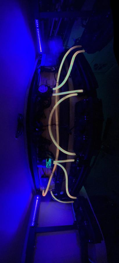 She is complete *chief kiss* | Scrolller