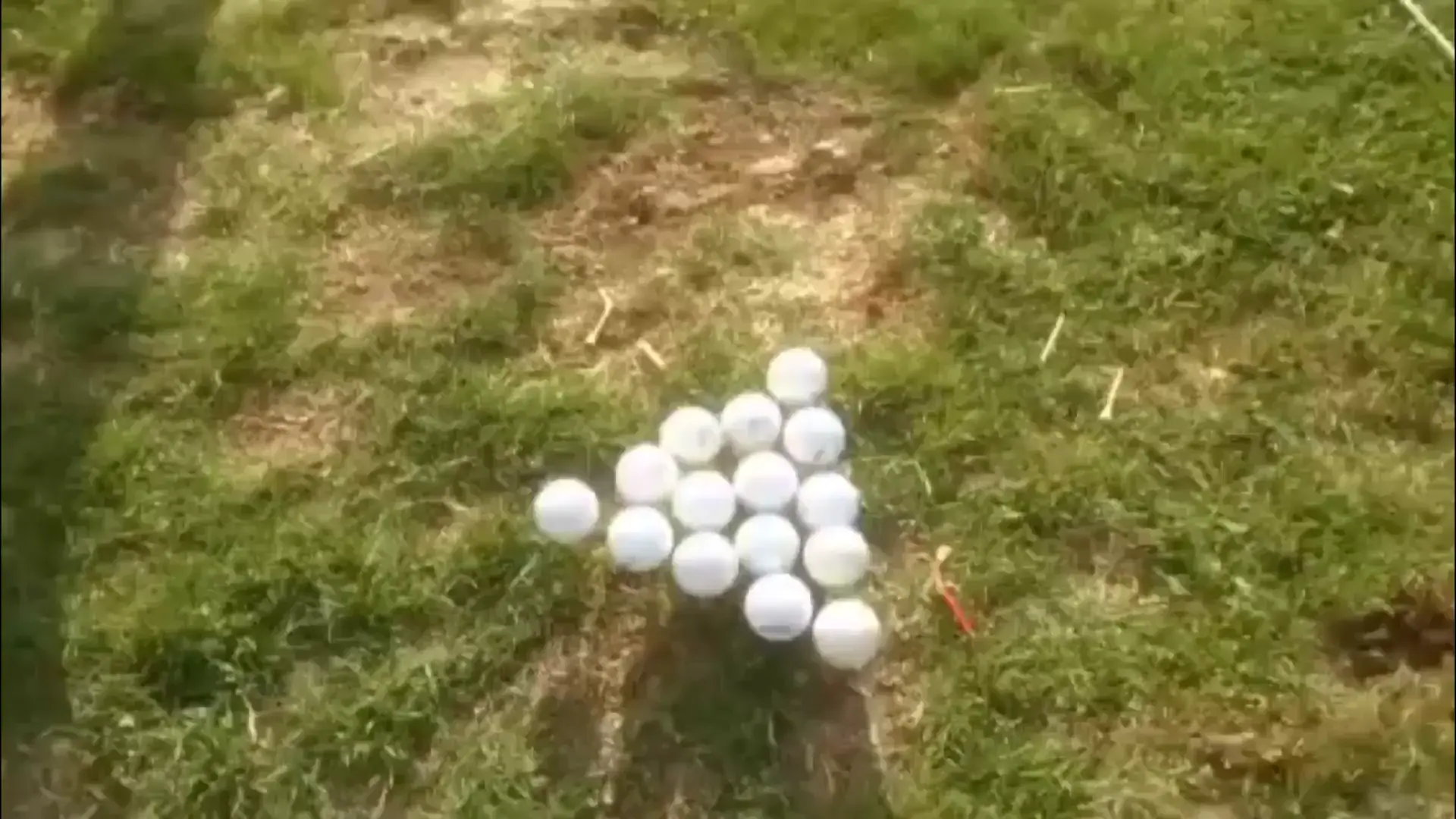 Hole in one! | Scrolller