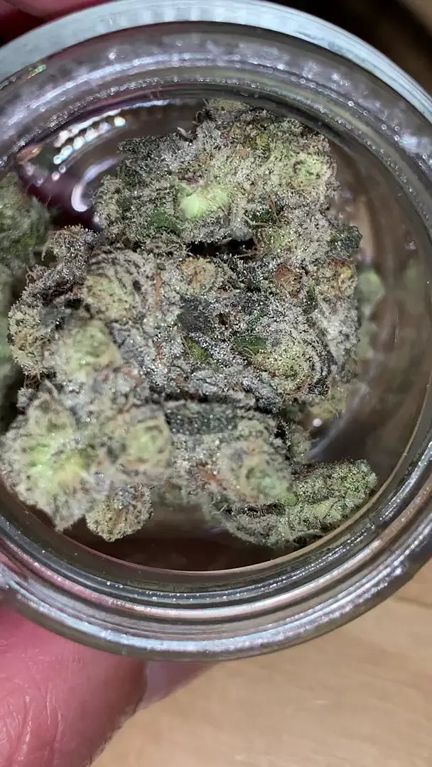 Holy Moly from Fig Farms | Scrolller