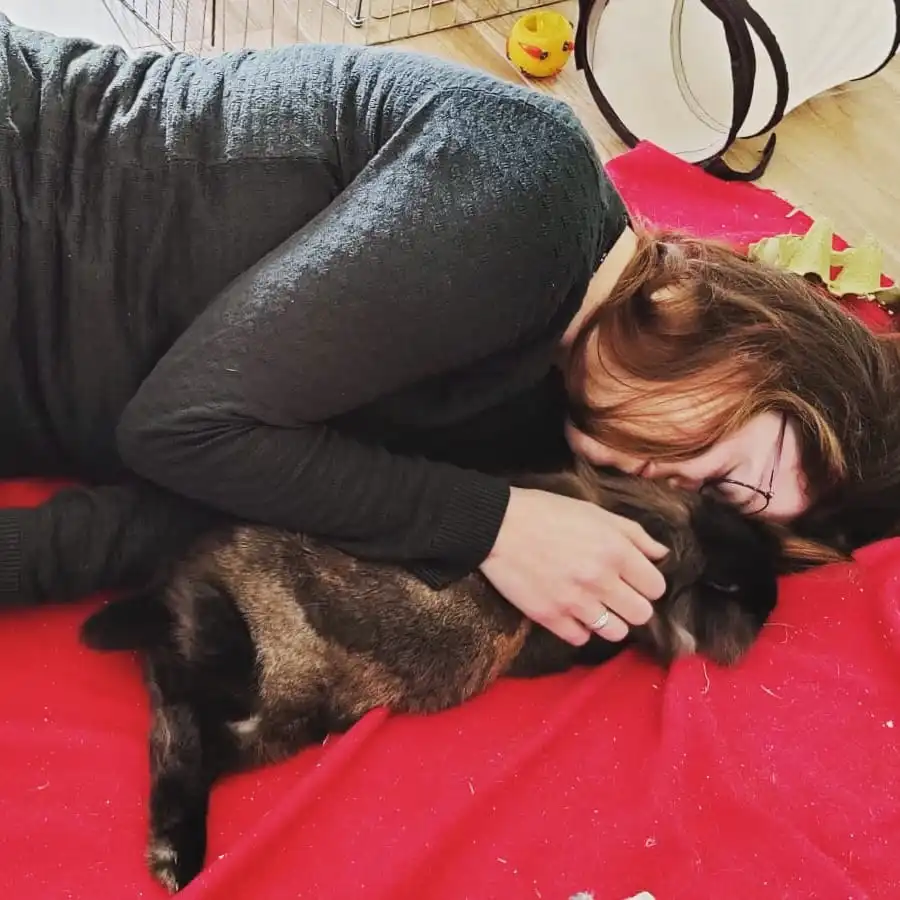 Hop and human noodle | Scrolller