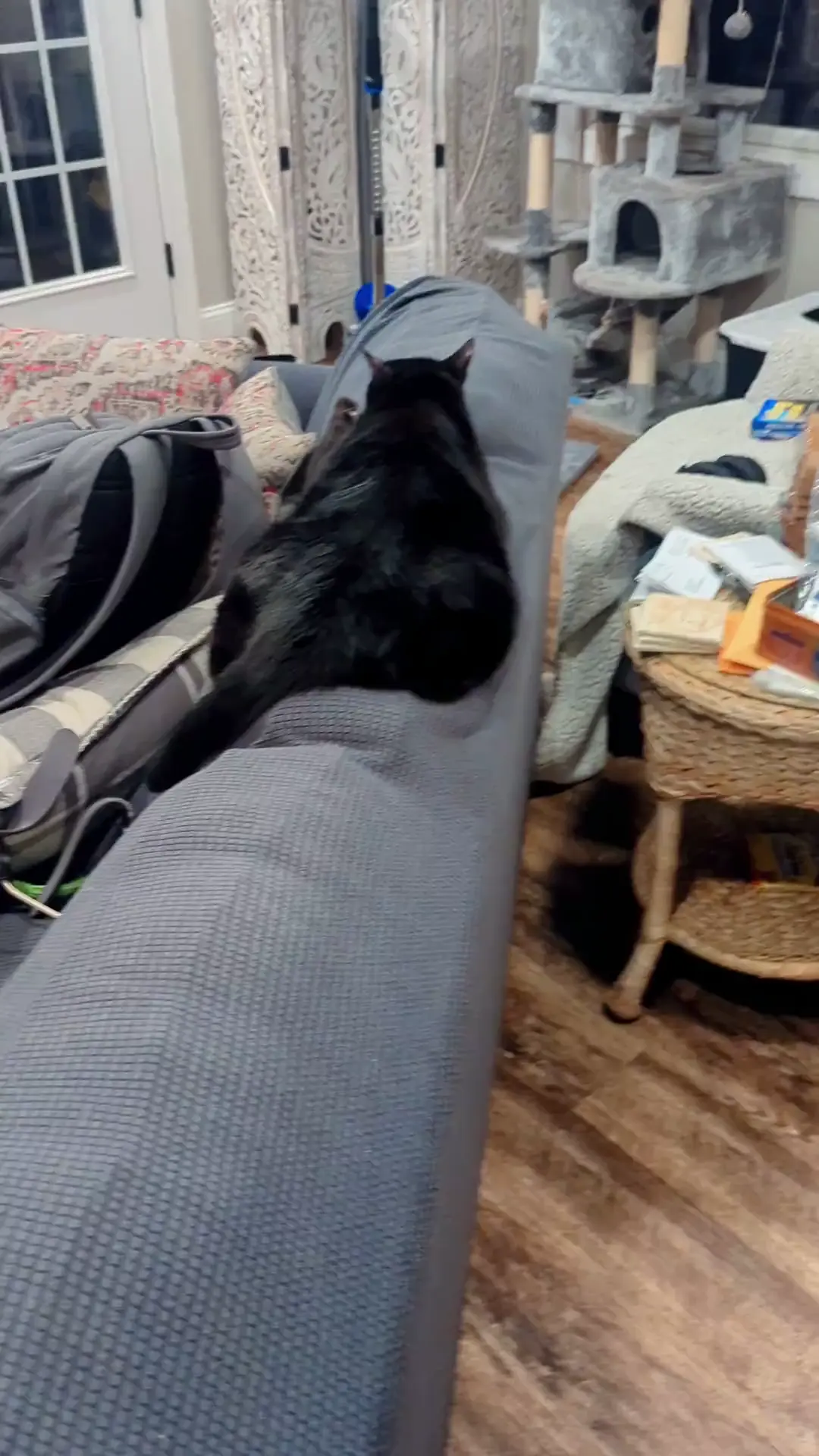 How I sneak up on my void 🙈 | Scrolller