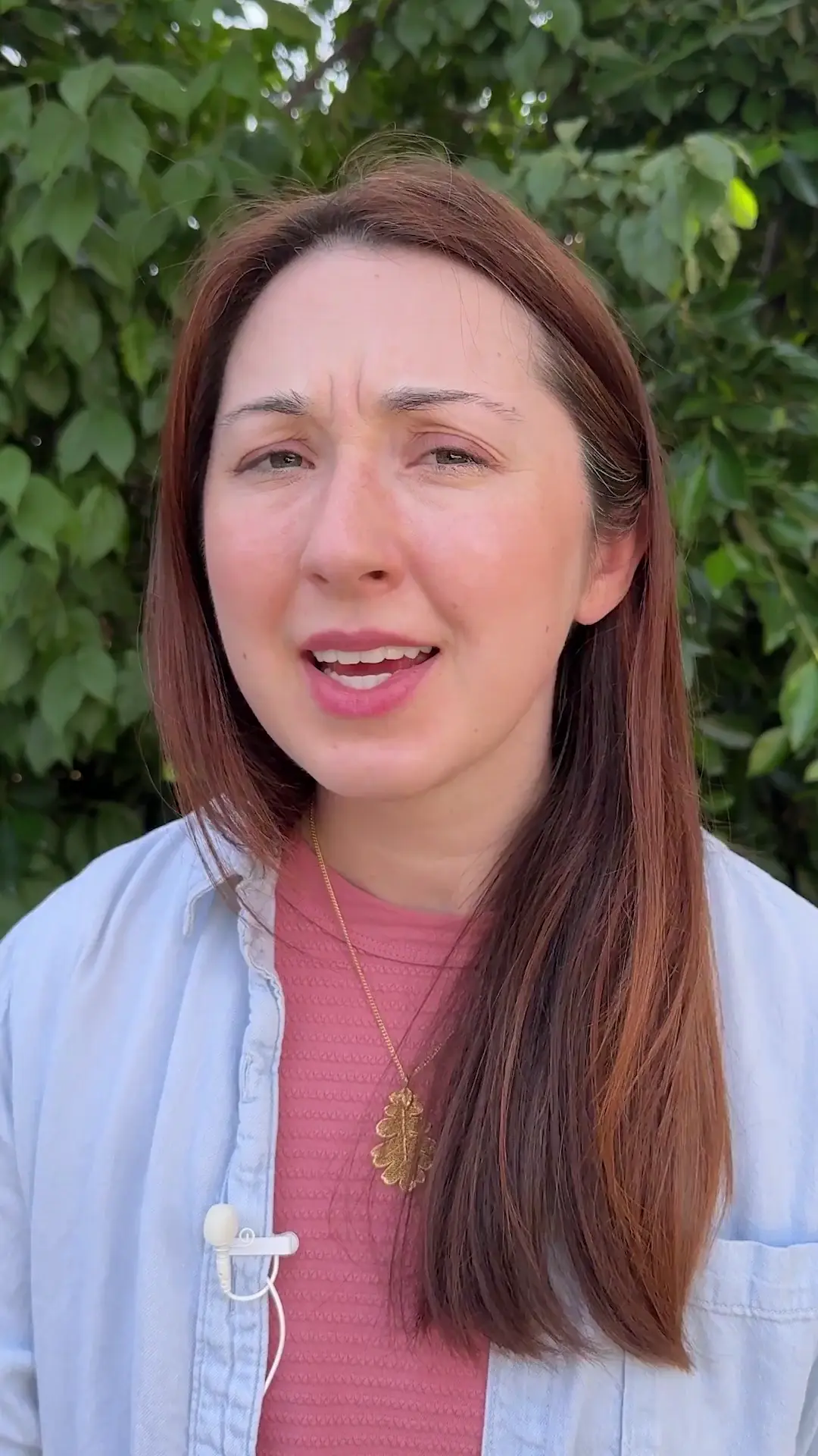 How to Predict Leaf Peeping Season | Scrolller
