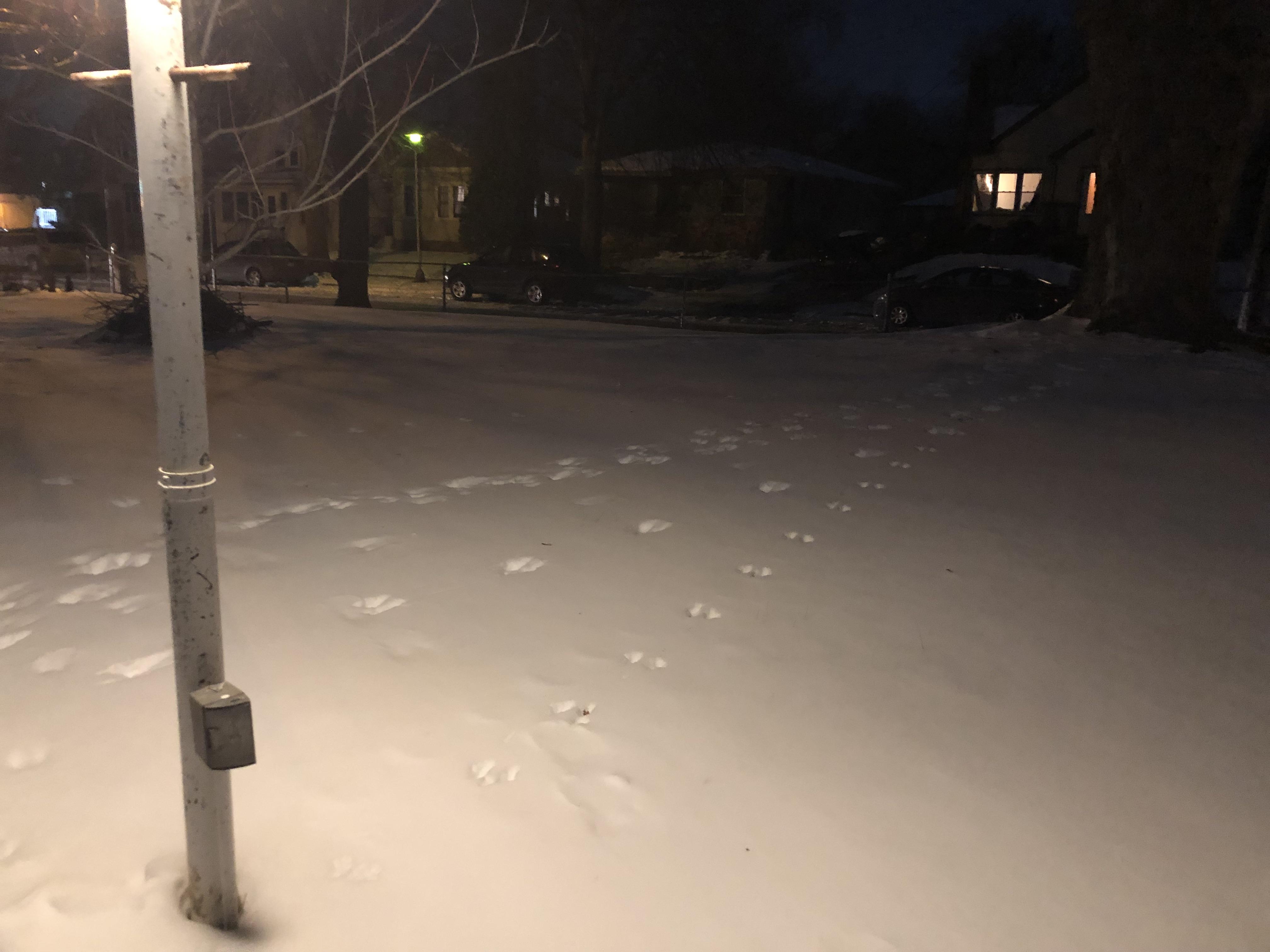 Longing for this specific type of stillness | Scrolller