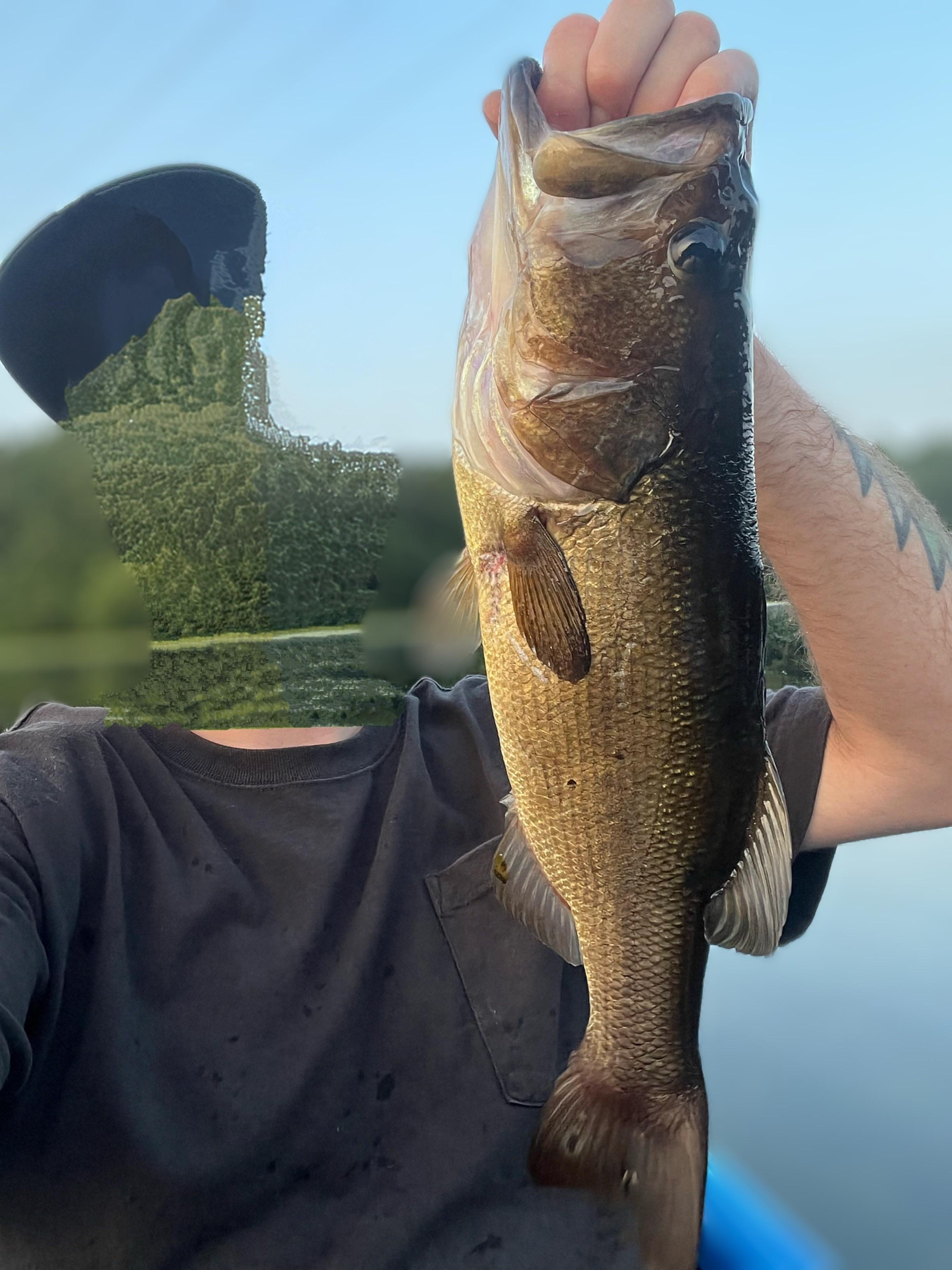 They kept getting bigger with each cast. | Scrolller