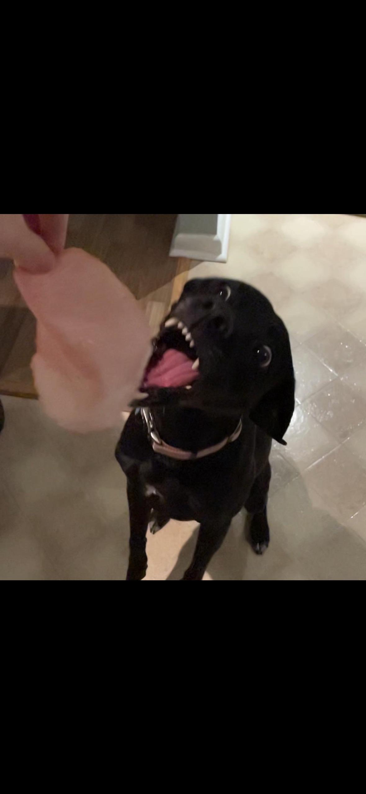 Personality pics | Scrolller