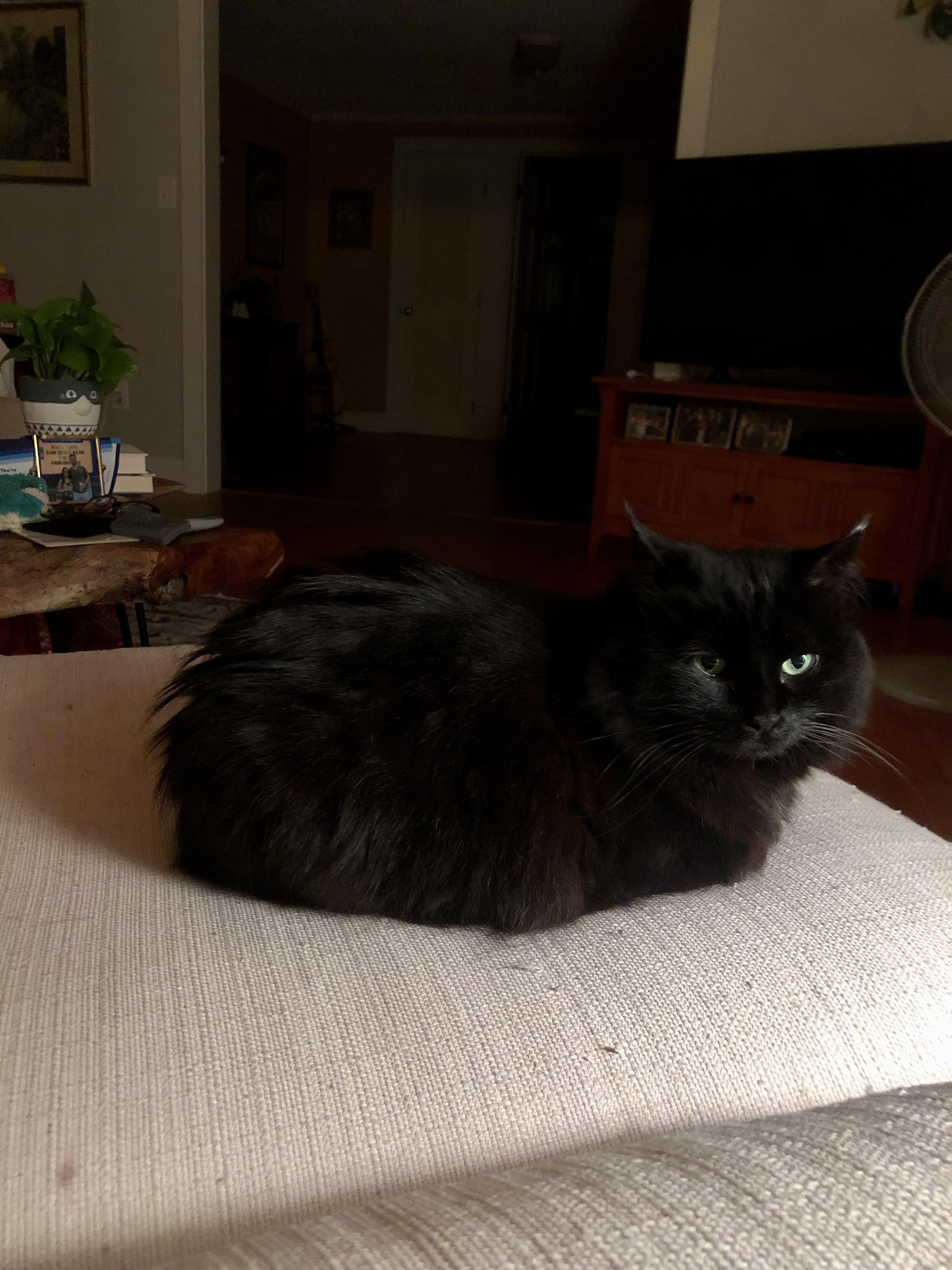 My burnt loaf 🖤 | Scrolller