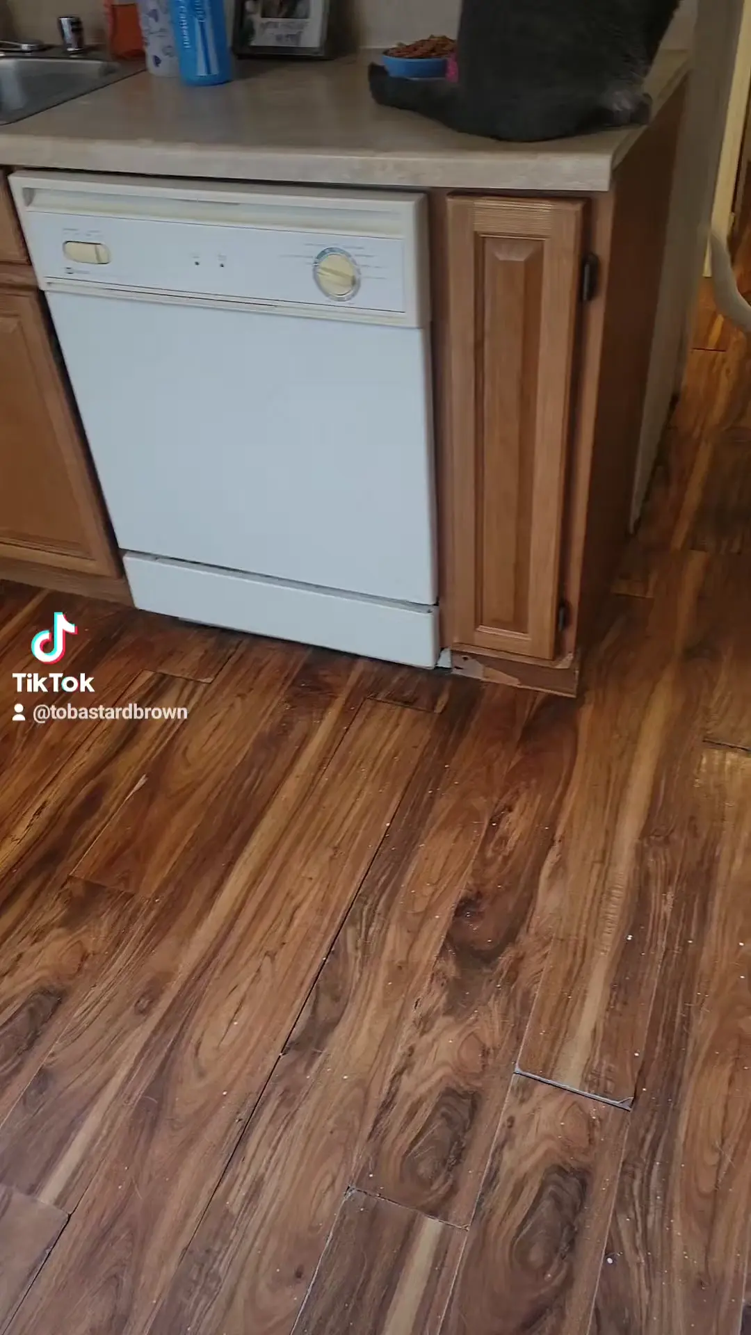 Huckleberry showing no fear haha | Scrolller