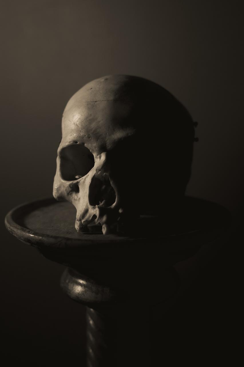 Human skull | Scrolller