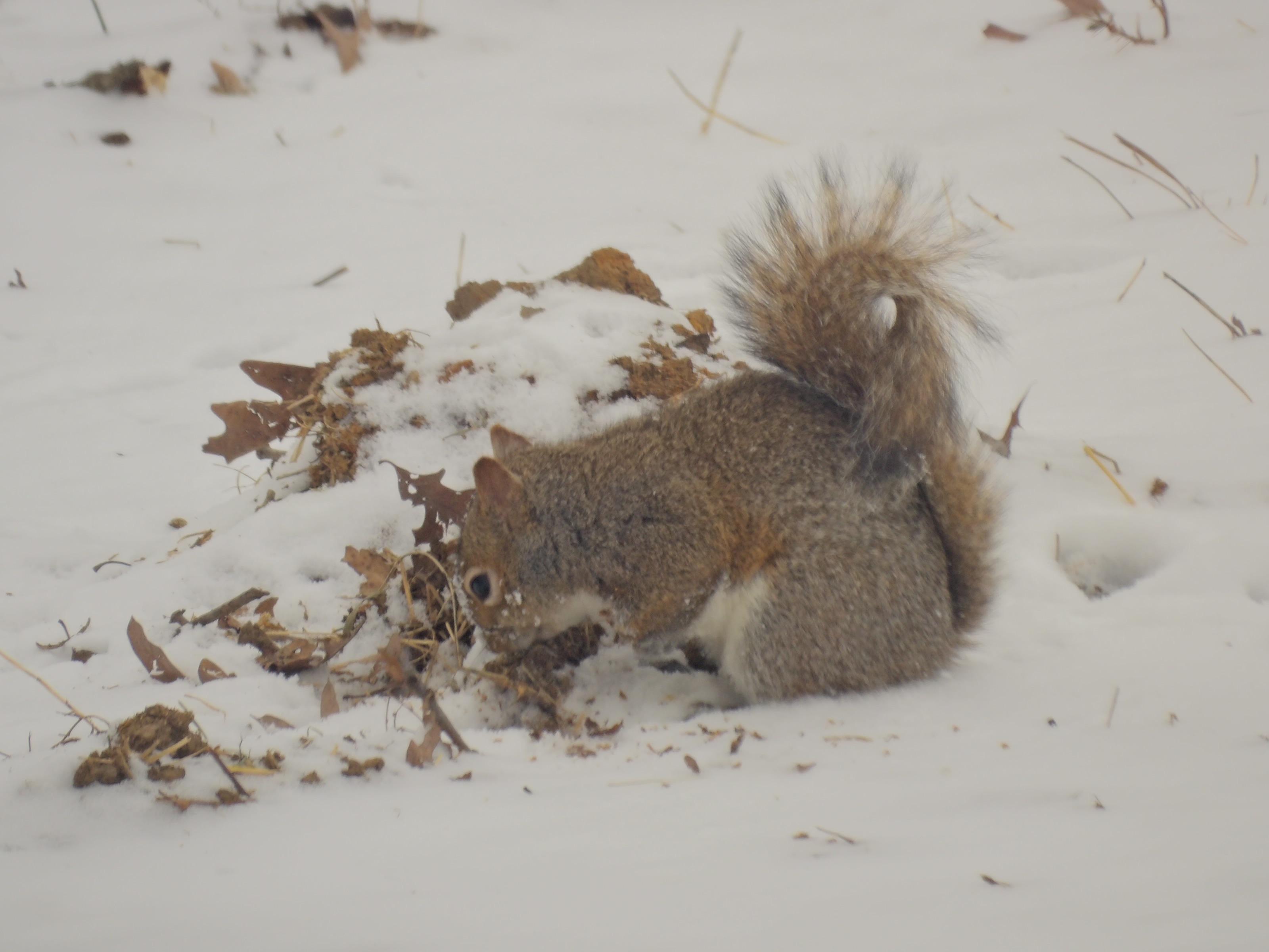 Chill tbh | Scrolller