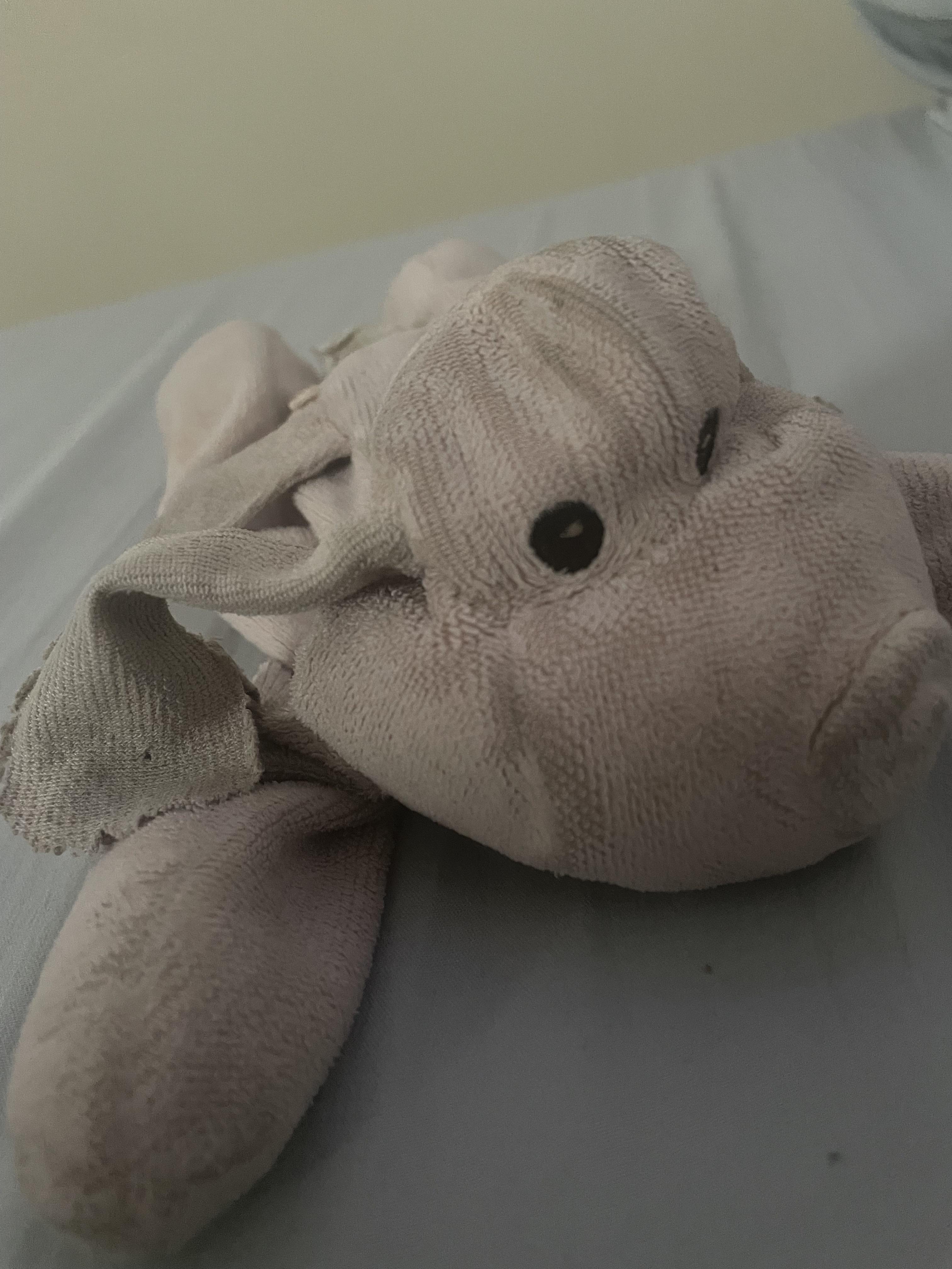 Please help me find this plushie!! | Scrolller