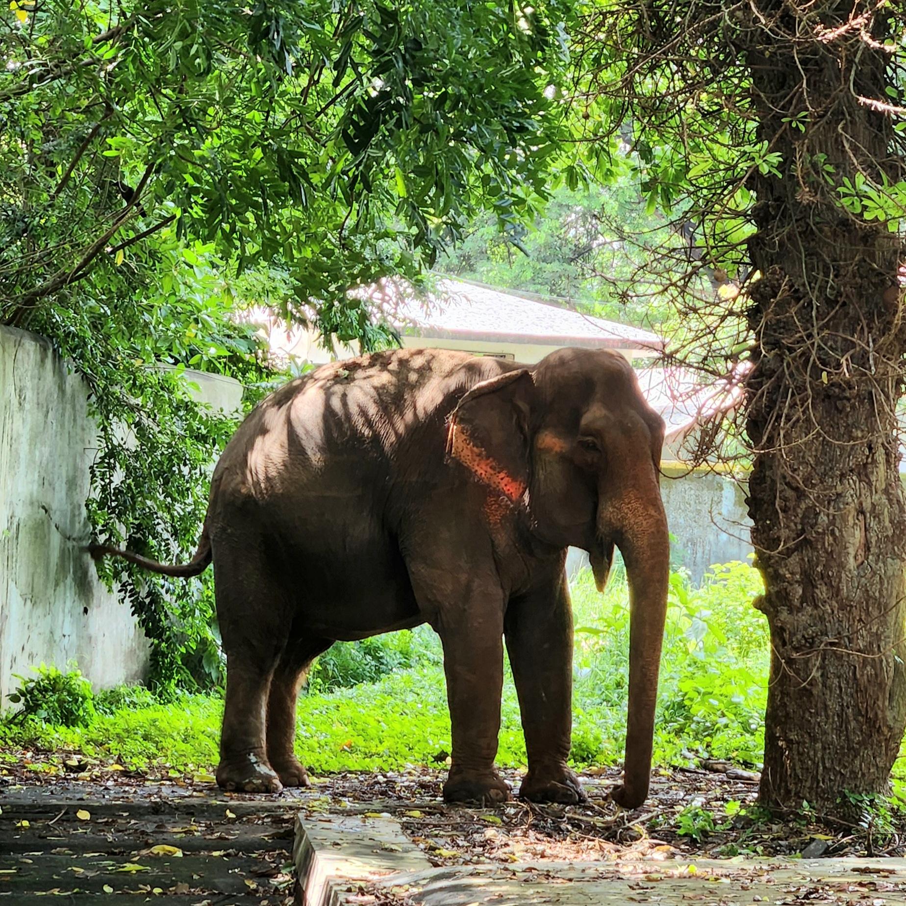 Weekend at the Zoo | Scrolller