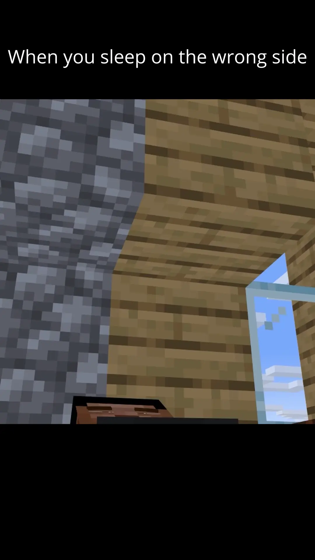 Discover more like MinecraftMemes: I tried making this a short but it didn't work, so here you ...