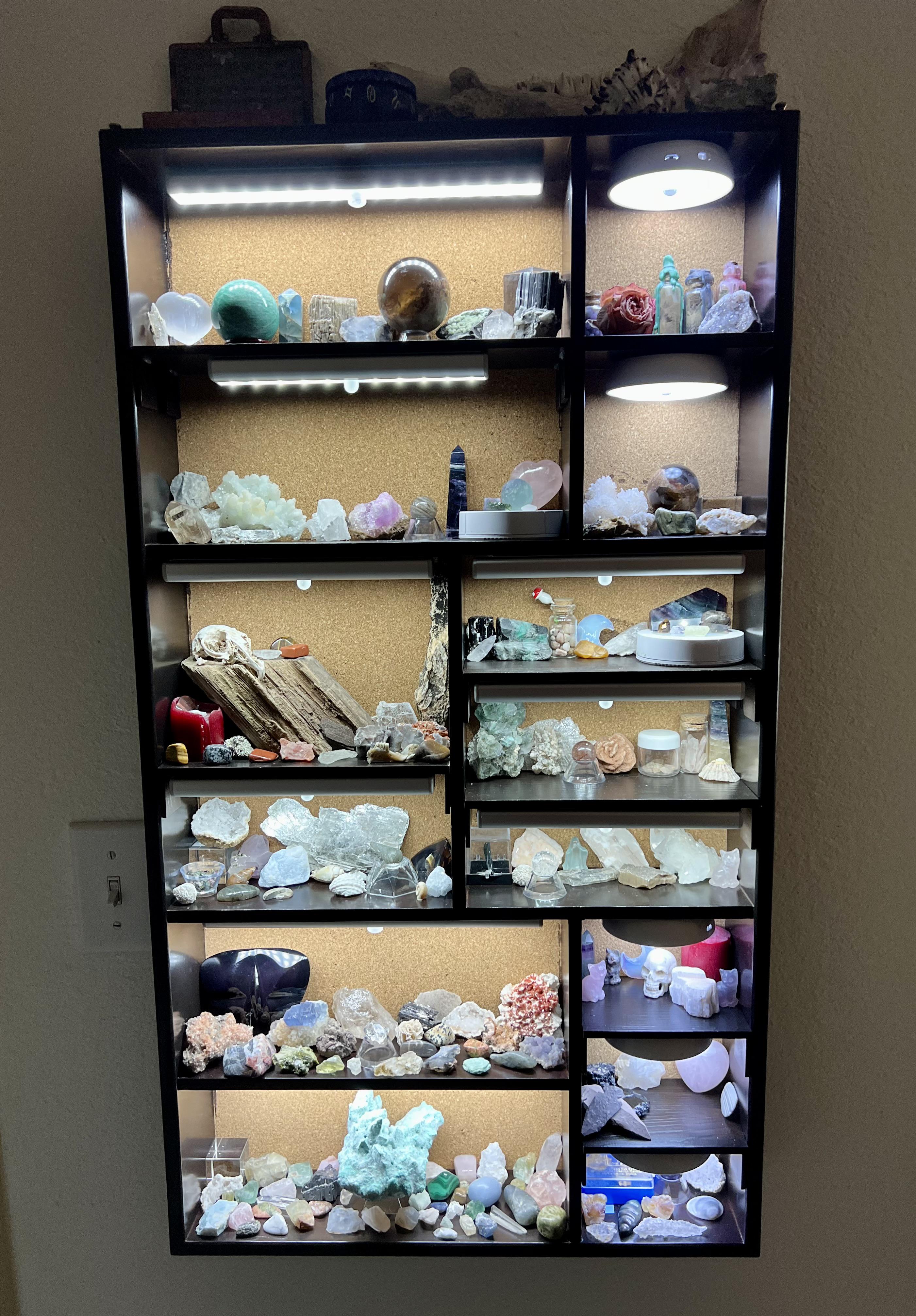 I was finally able to finish adding shelves and lighting to my 15-y.o. daughter's mineral/fossil ...