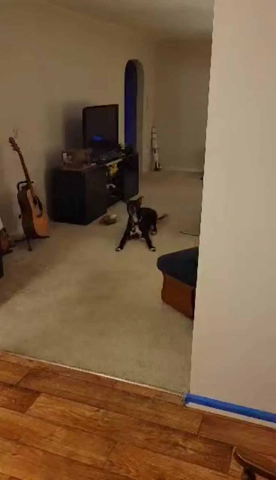 I was gone for four hours. | Scrolller