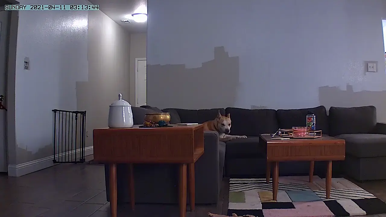 I WFH so he's not used to long absences, was gone about 6 hours | Scrolller