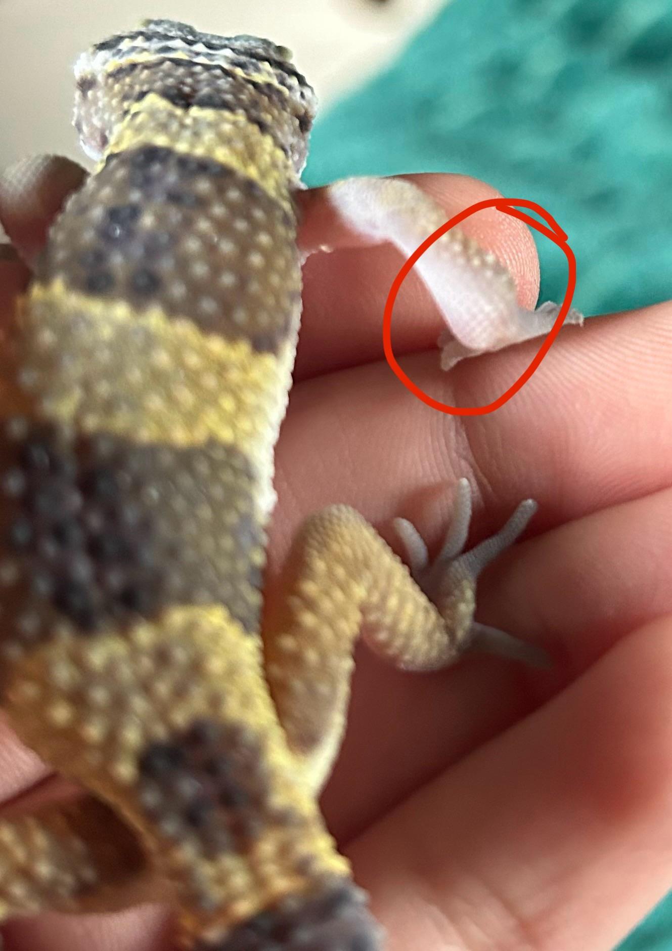 Weird bump by hand | Scrolller