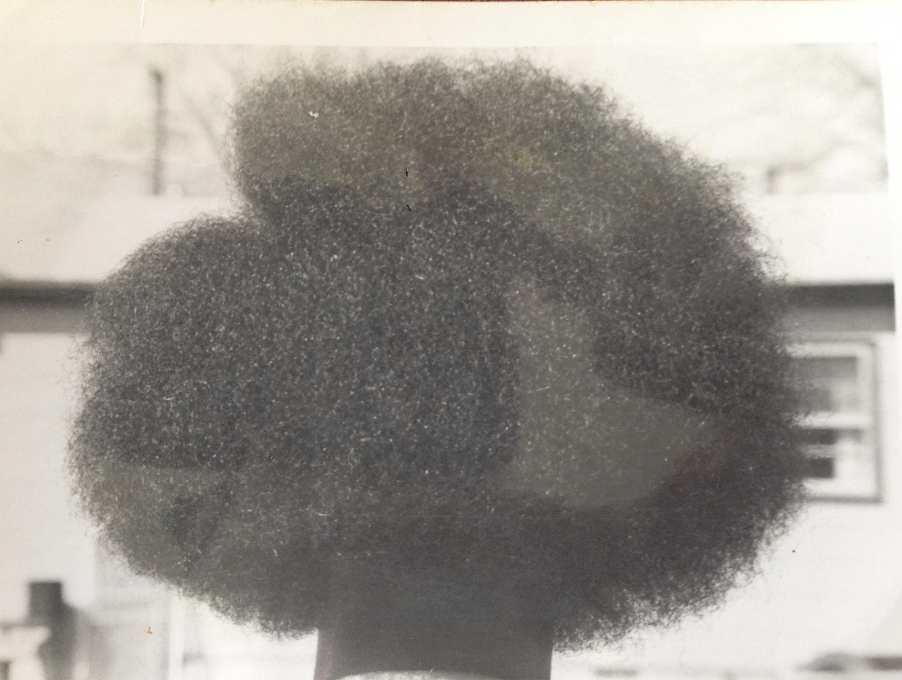 Three views of my dad's afro - 1972 | Scrolller