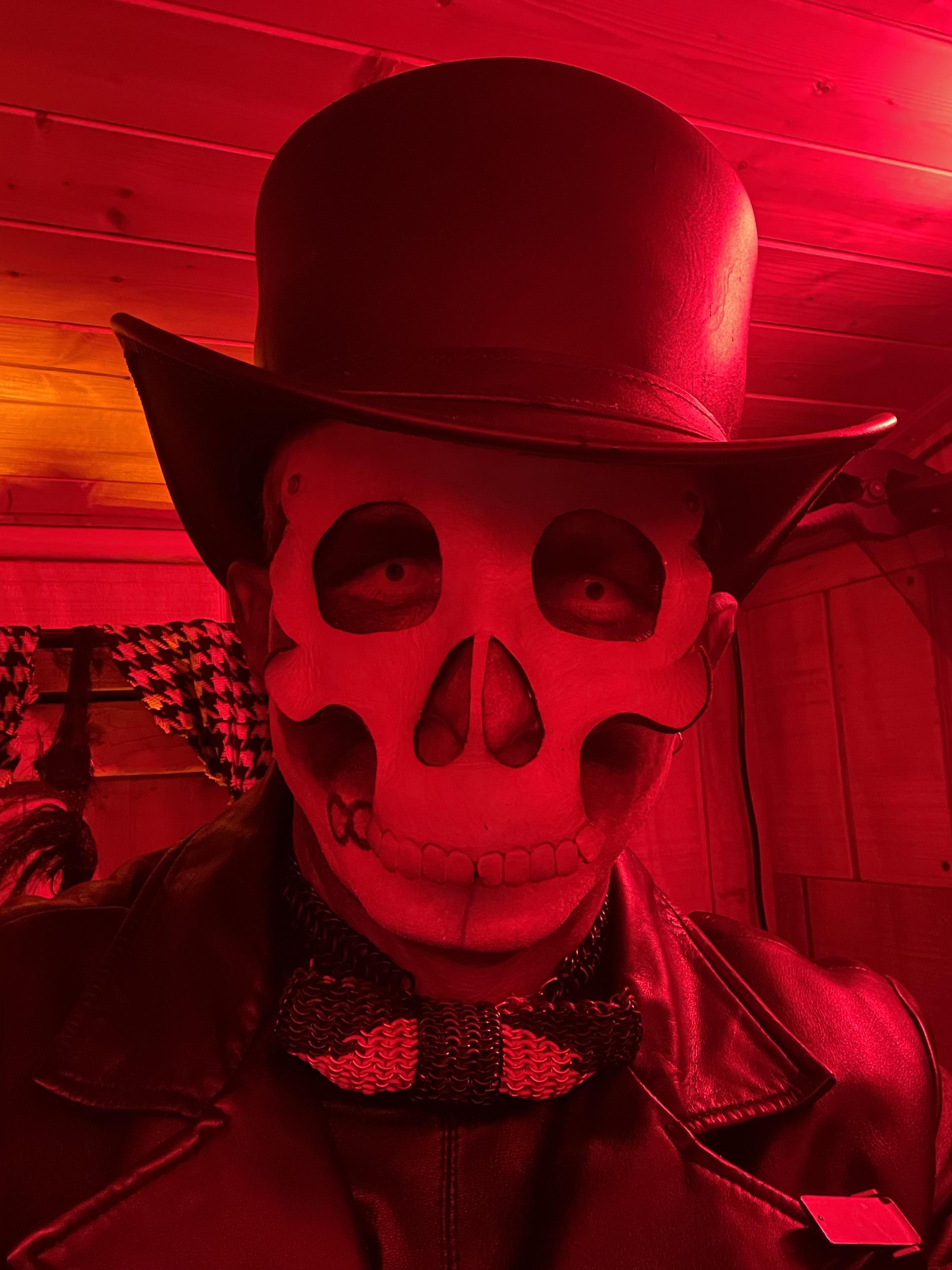 Our yard | Scrolller