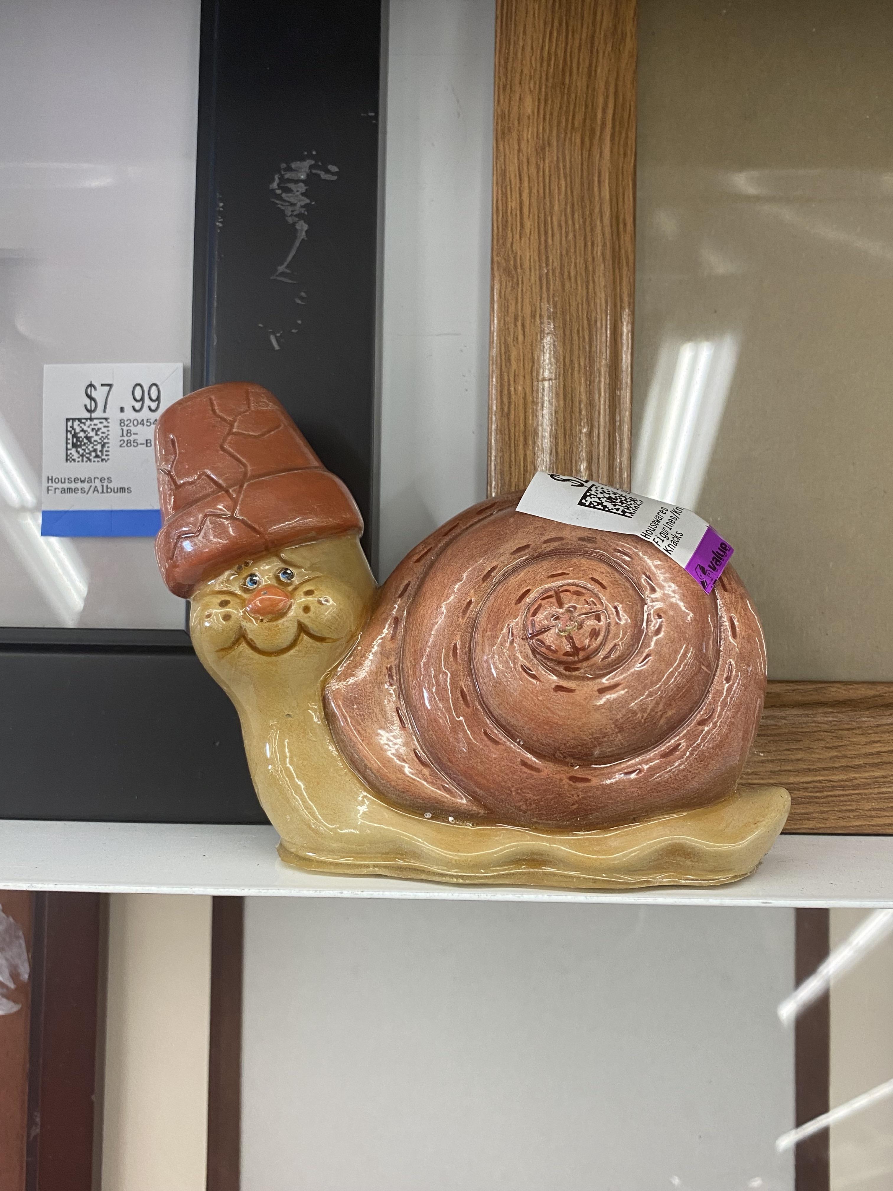 Vintage snail in the thrift store | Scrolller