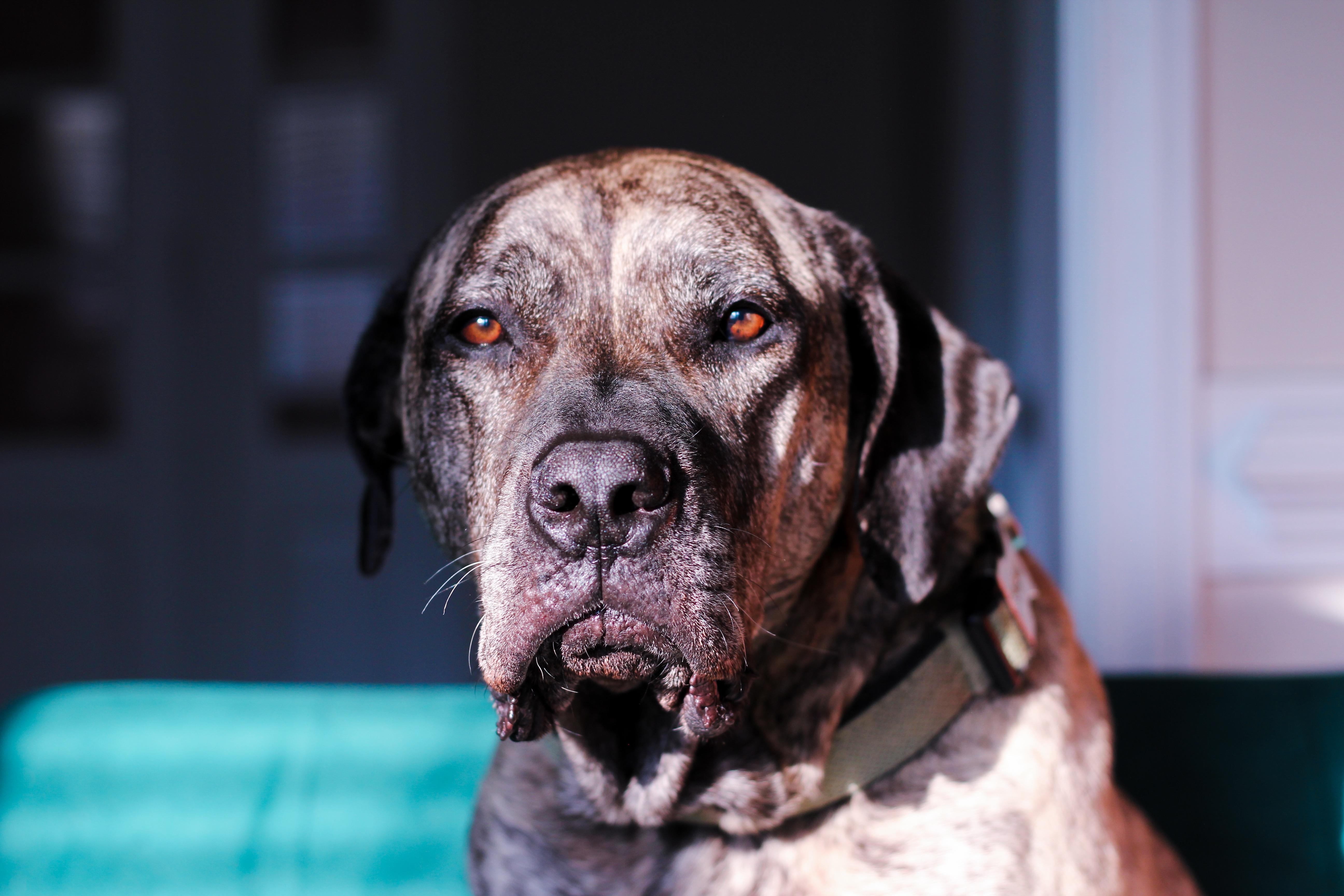 My girls wanted an impromptu photo shoot during golden hour today ☀️📸 | Scrolller