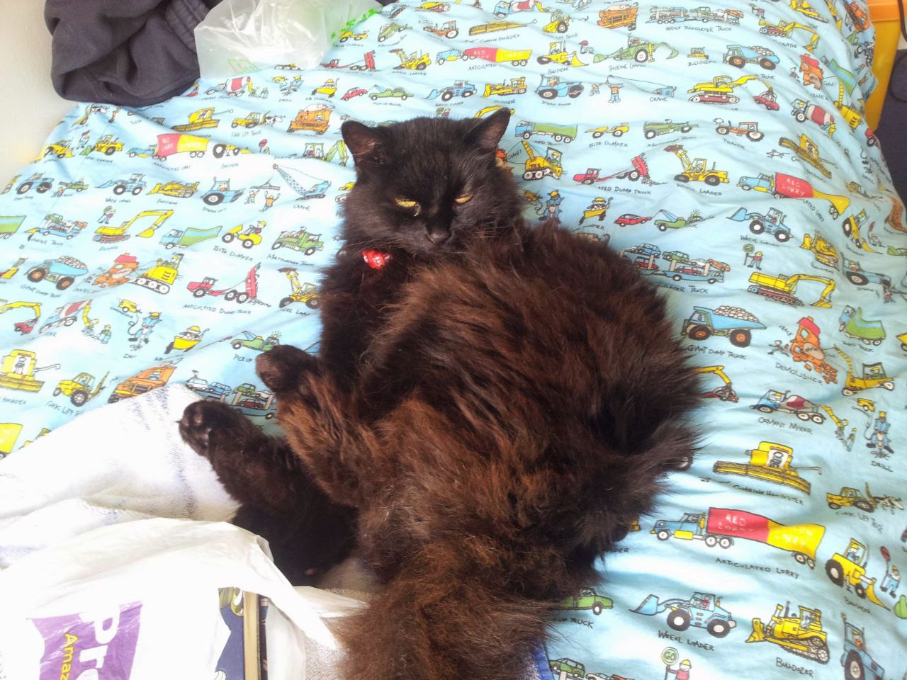 Our late Liam | Scrolller