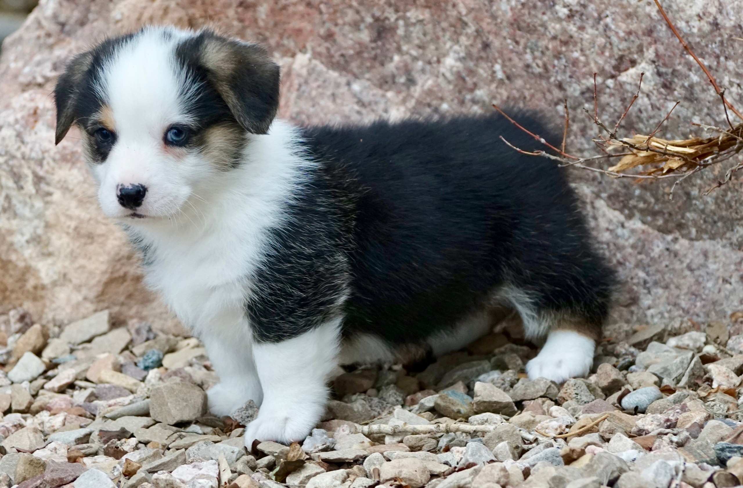 Say hello to our new child Milo :) | Scrolller