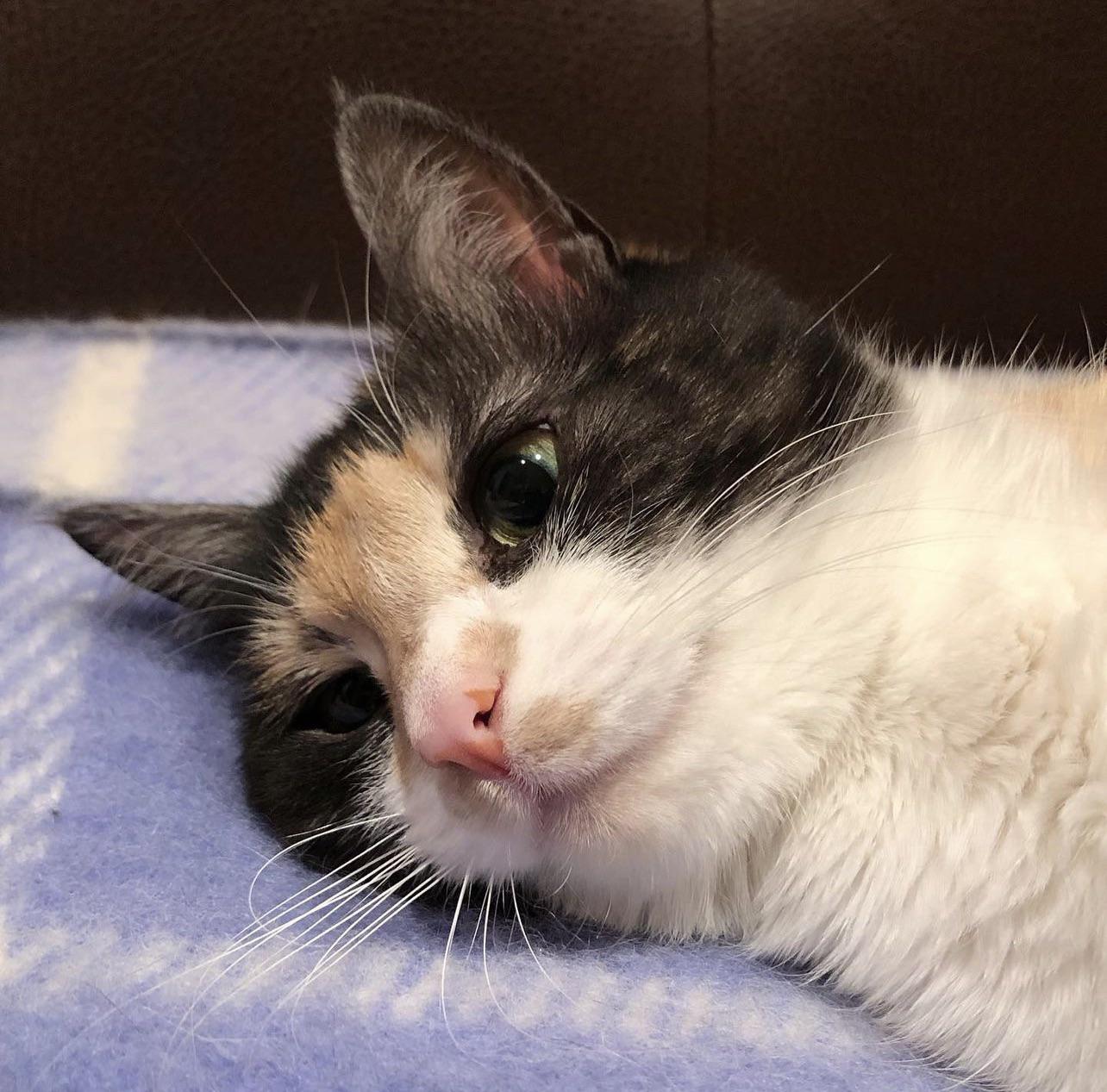 Two modes | Scrolller