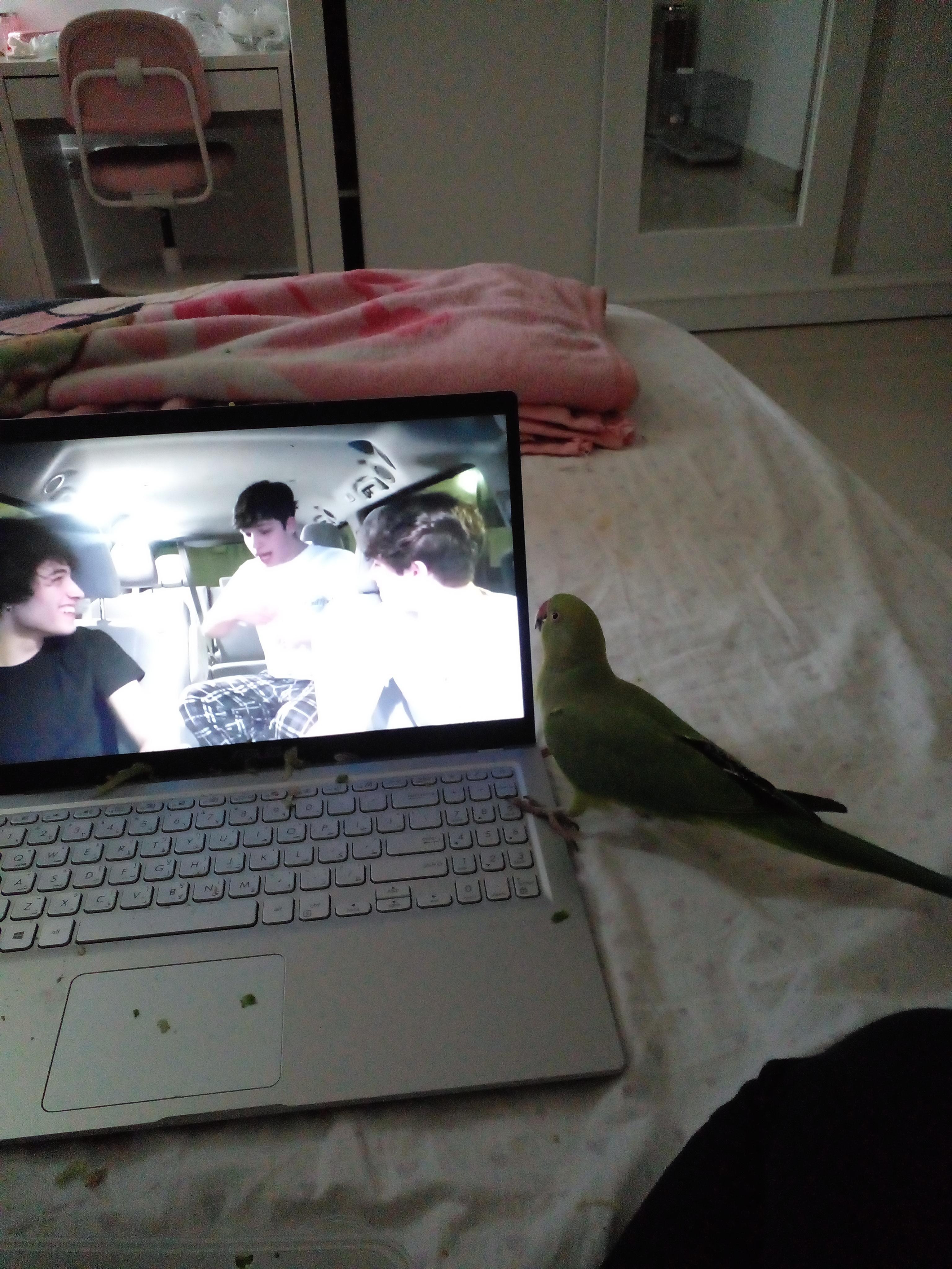 Kiwi loves the triplets | Scrolller