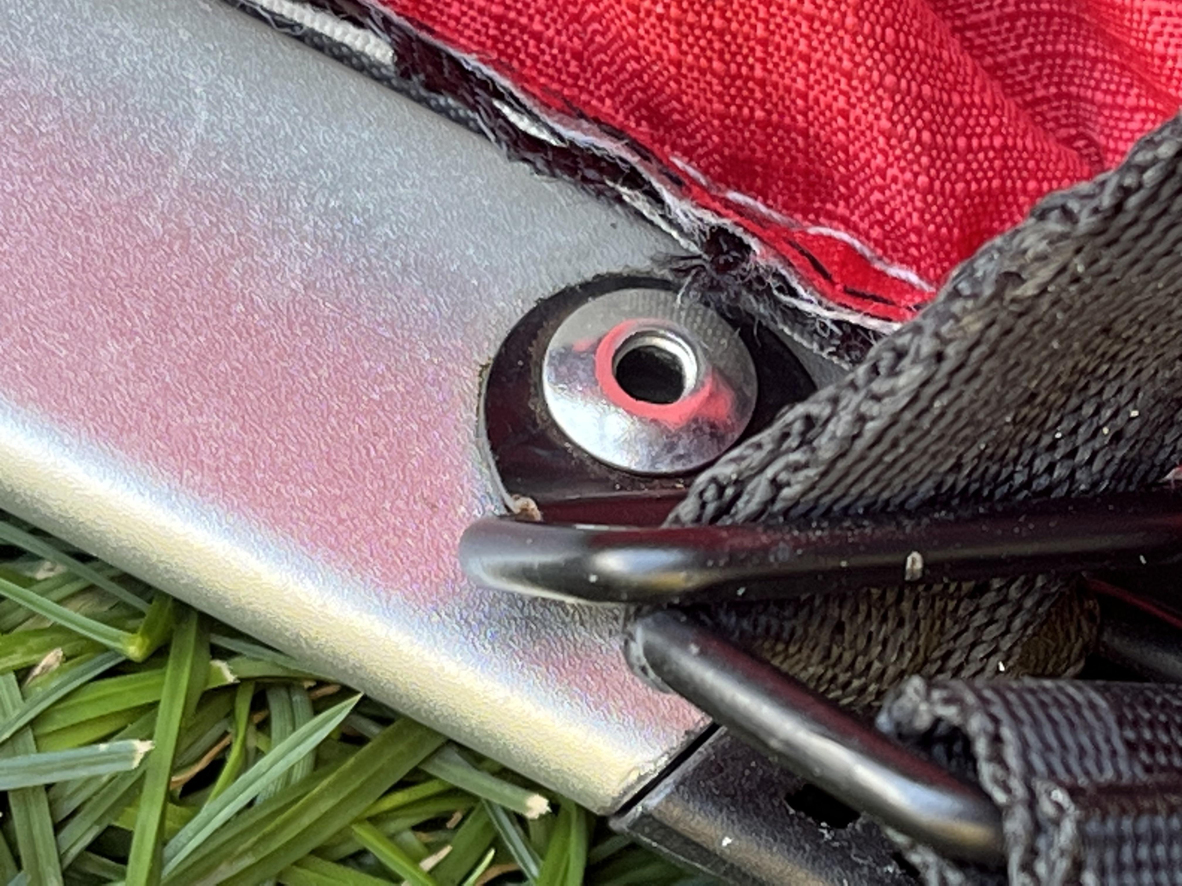 What is this screw? | Scrolller