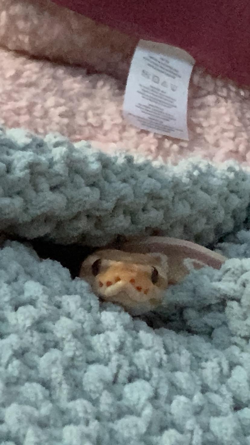 Show me your noodles!! | Scrolller