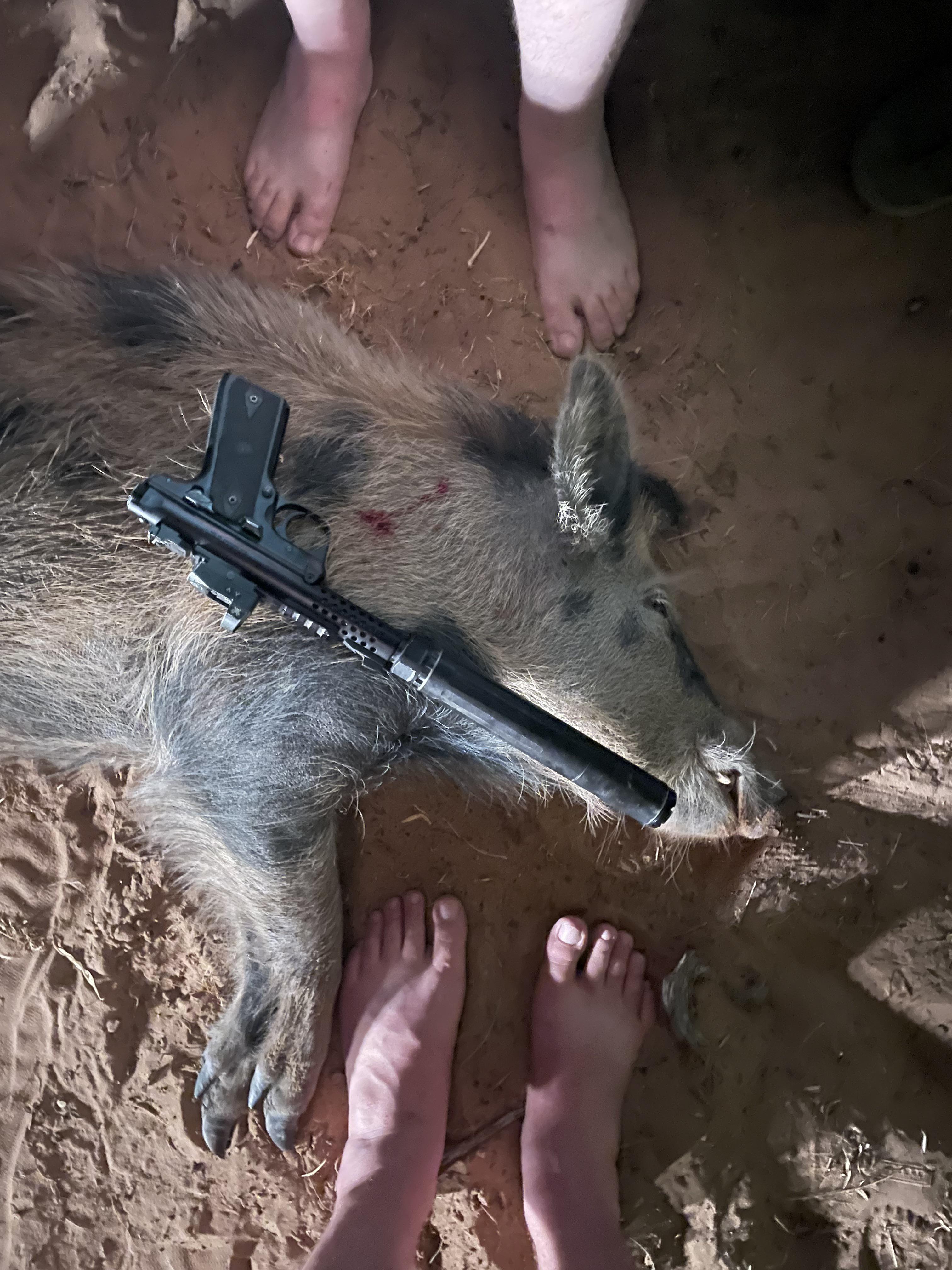 Caught him slipping Small boar down .22 LR mk iv da ghost | Scrolller