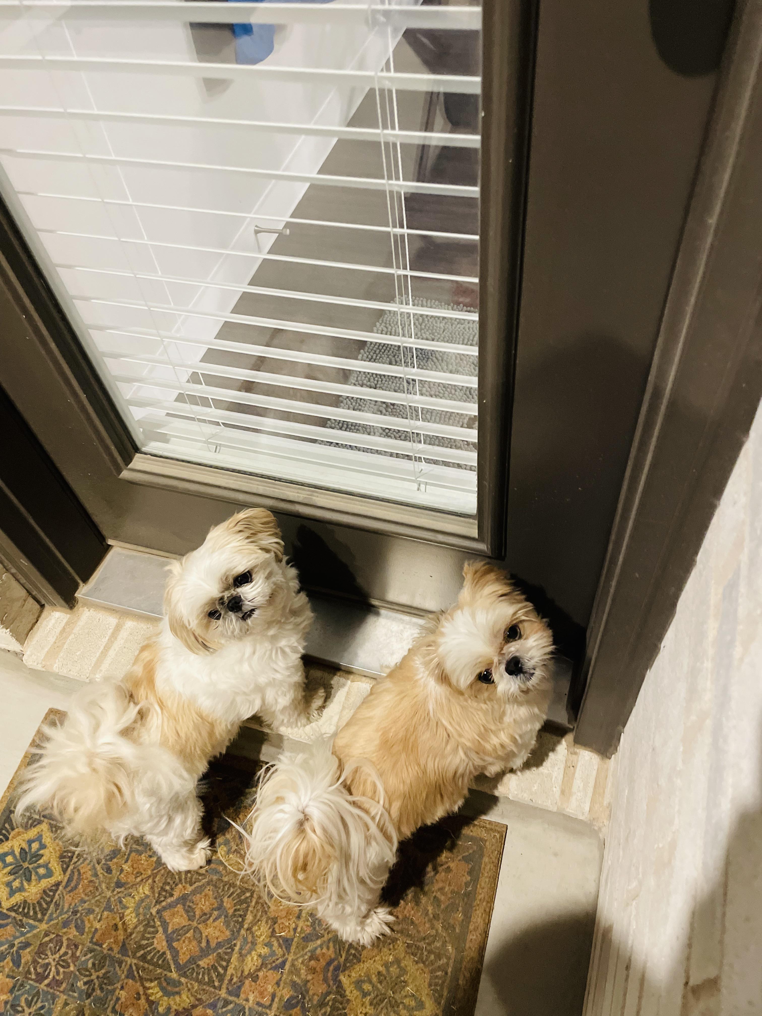 Always alert | Scrolller