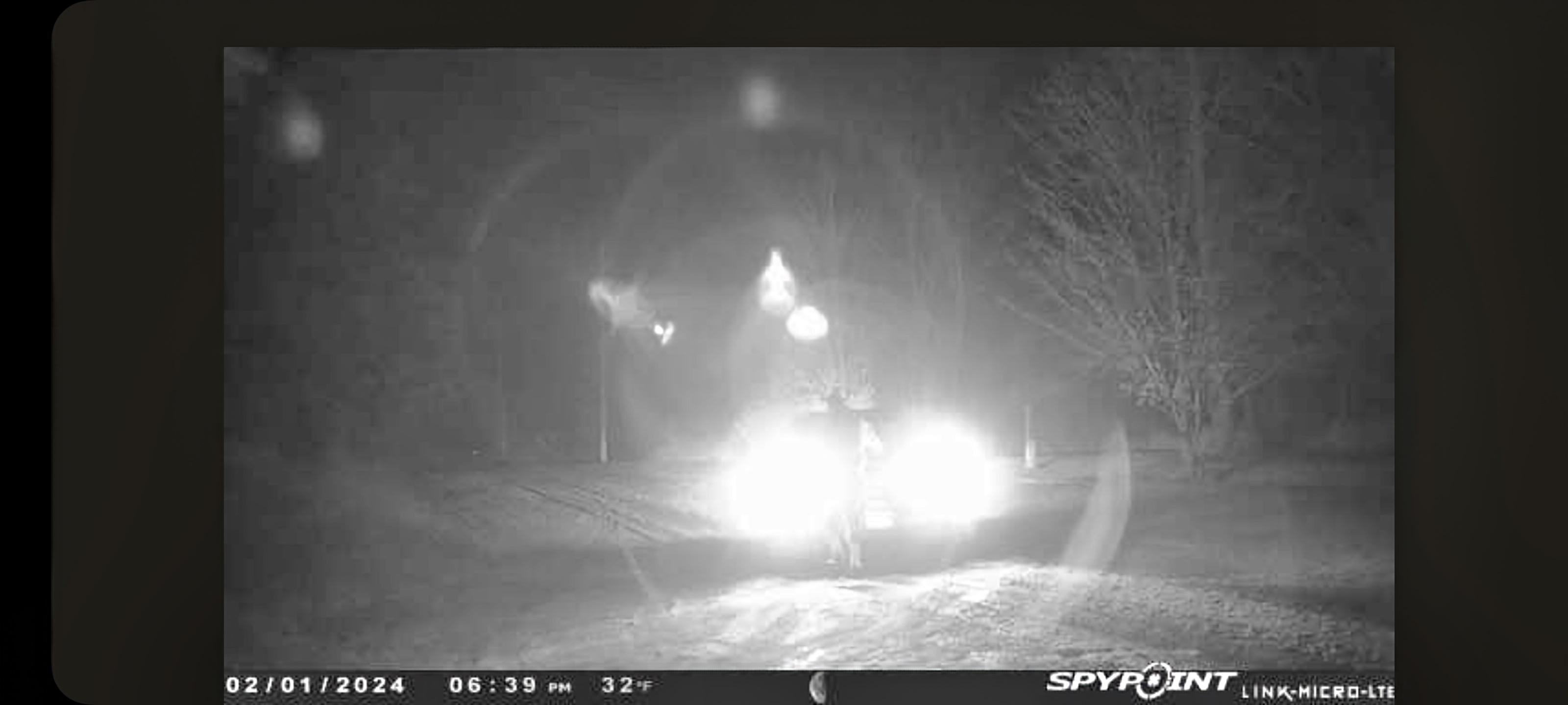 Help with robbery | Scrolller