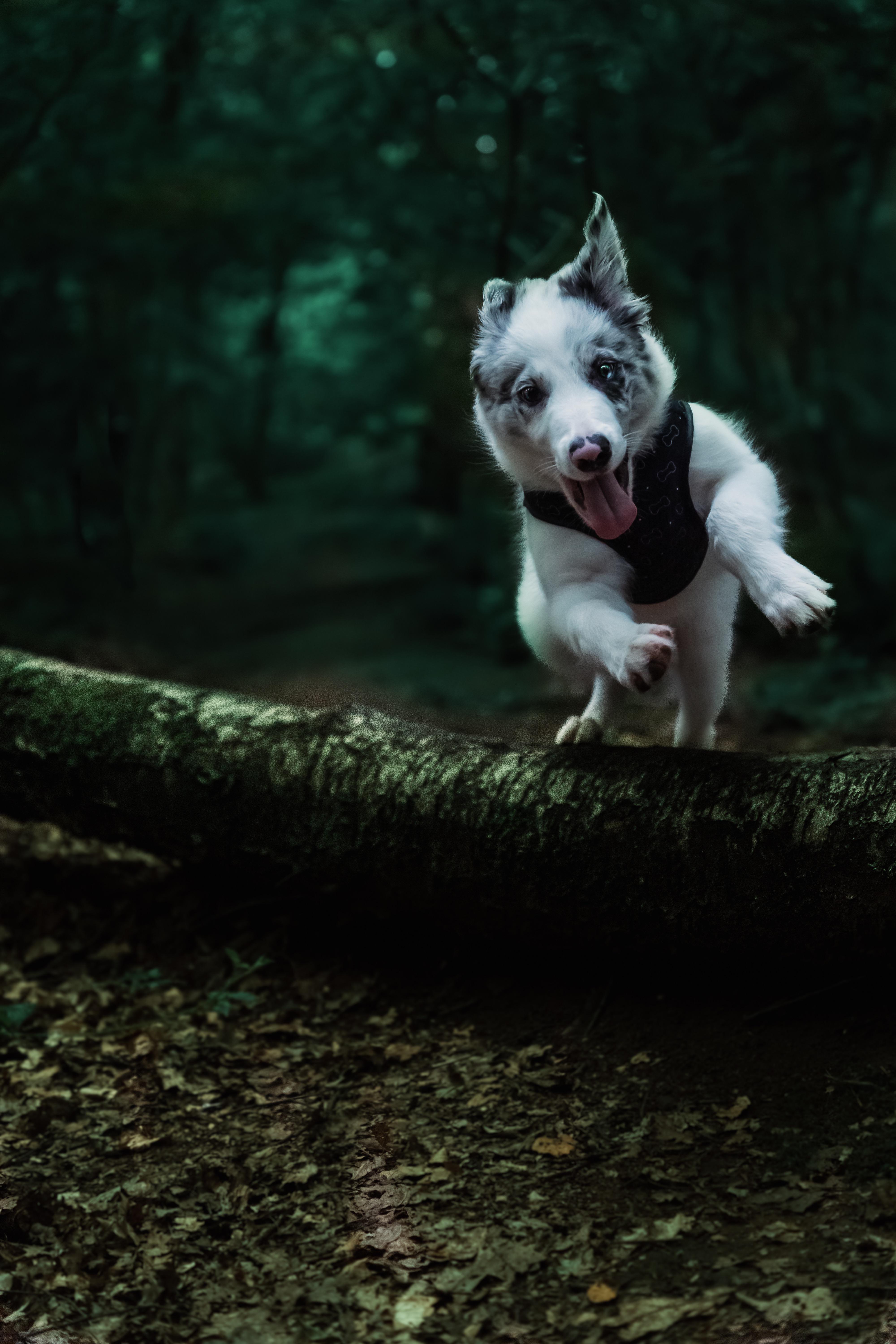 Pluto 🚀🚀 (@_plutos.universe_) • Instagram photos and videos | Scrolller