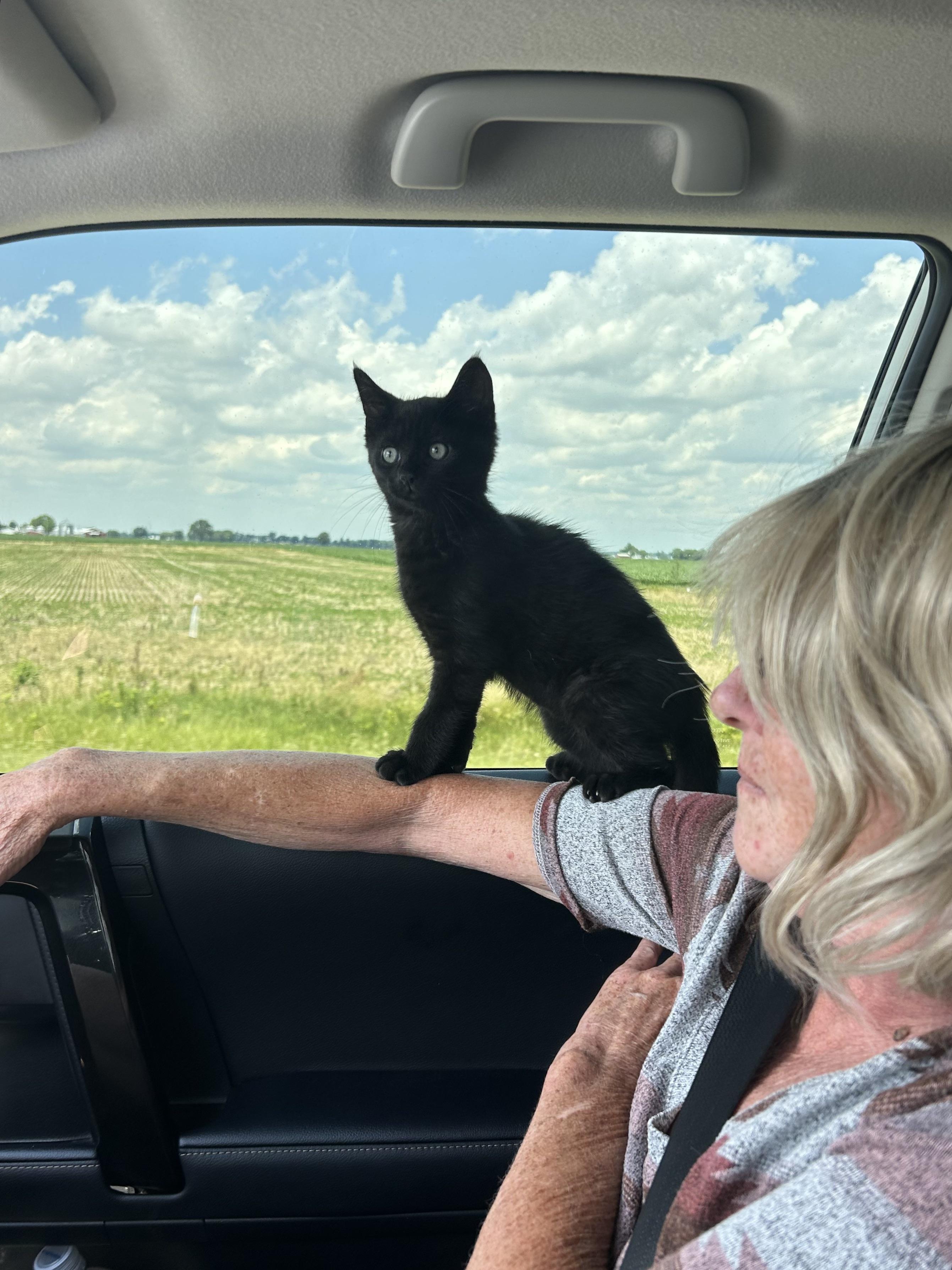 We adopted a void. | Scrolller