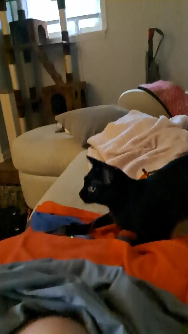 Icey the ice cold killer! | Scrolller