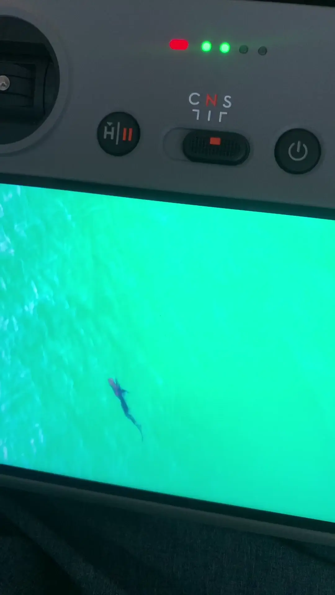 Discover more like Sharks: Identification and Related Content | Scrolller