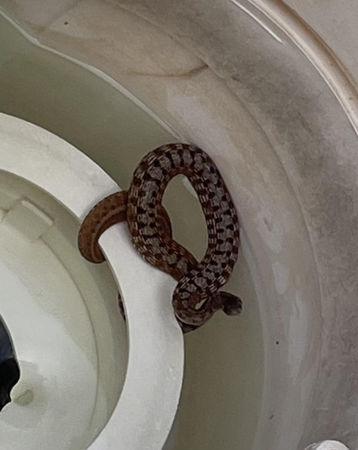 Identify | Scrolller