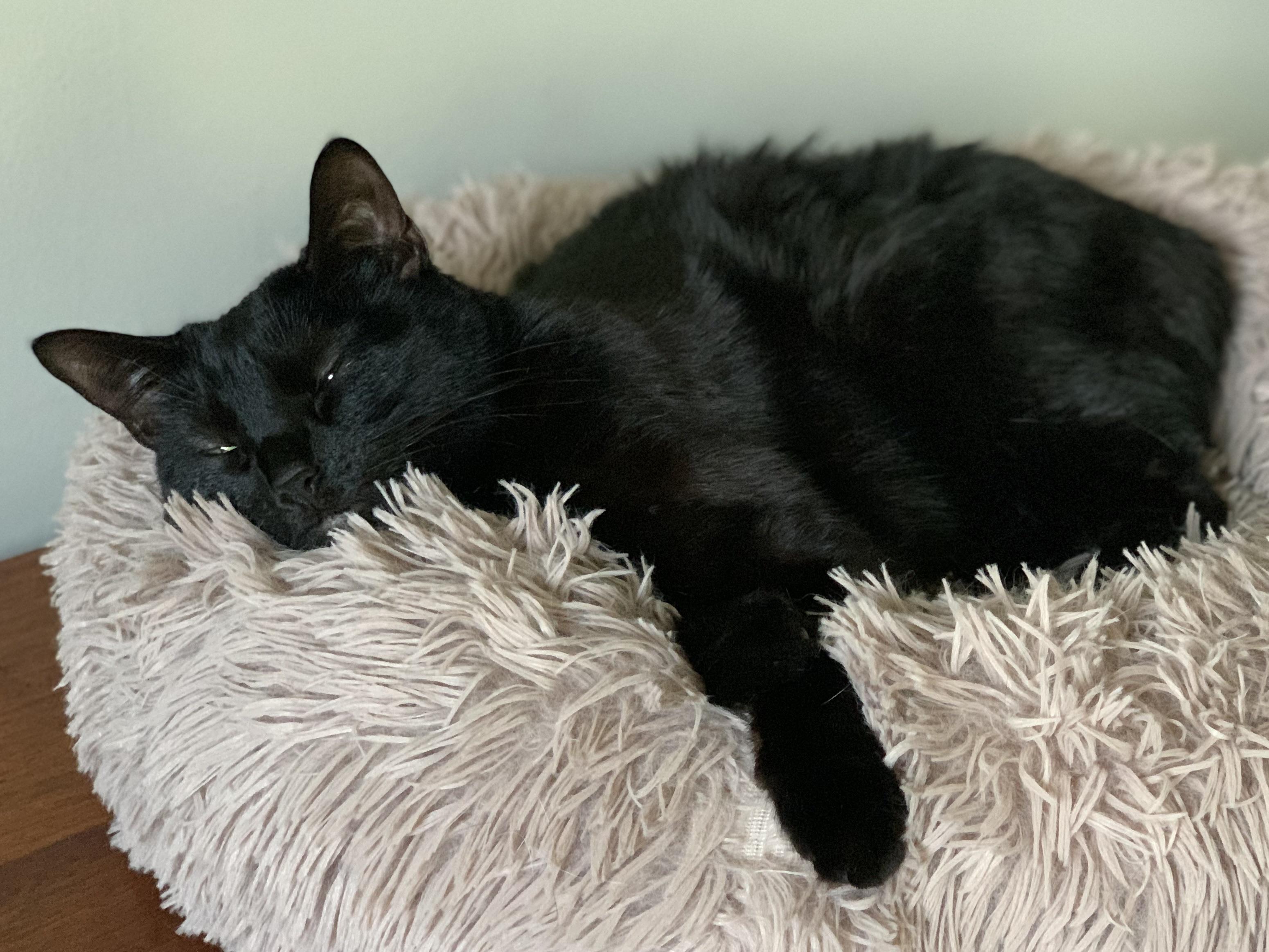 Anyanka, Queen of the Void | Scrolller