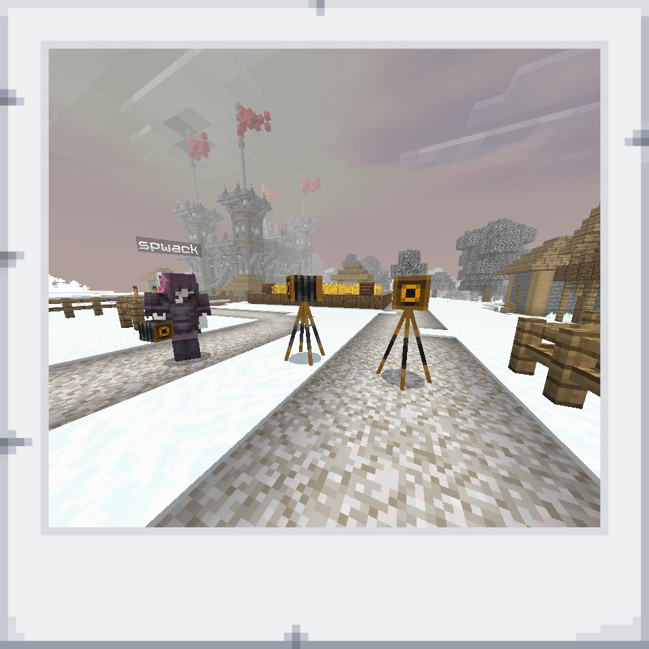 Why did Mojang remove arguably the best Bedrock exclusive item, the Camera? | Scrolller