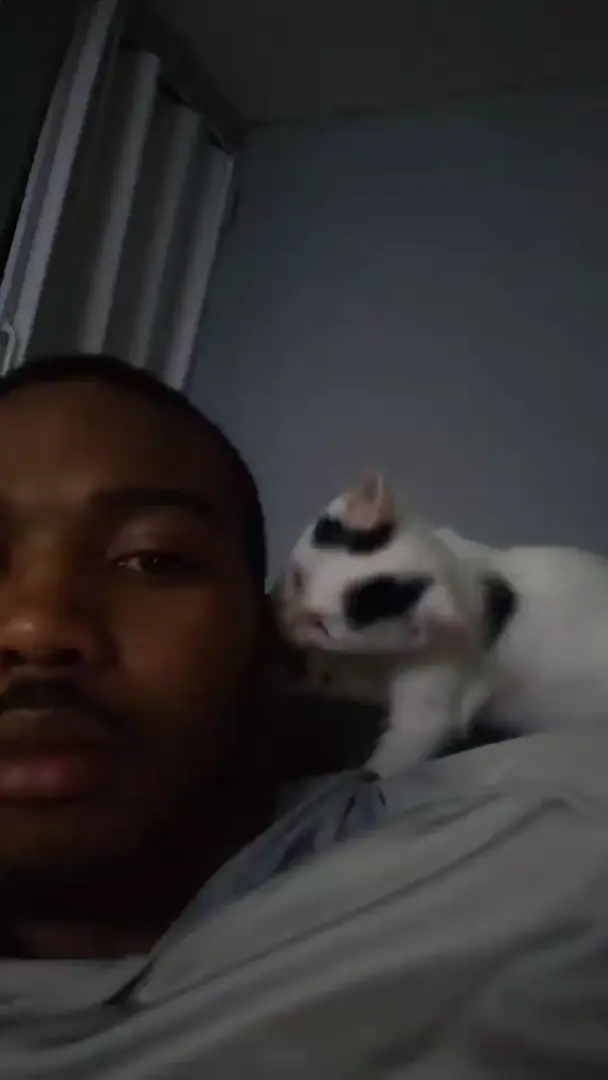 im not amused but he is | Scrolller