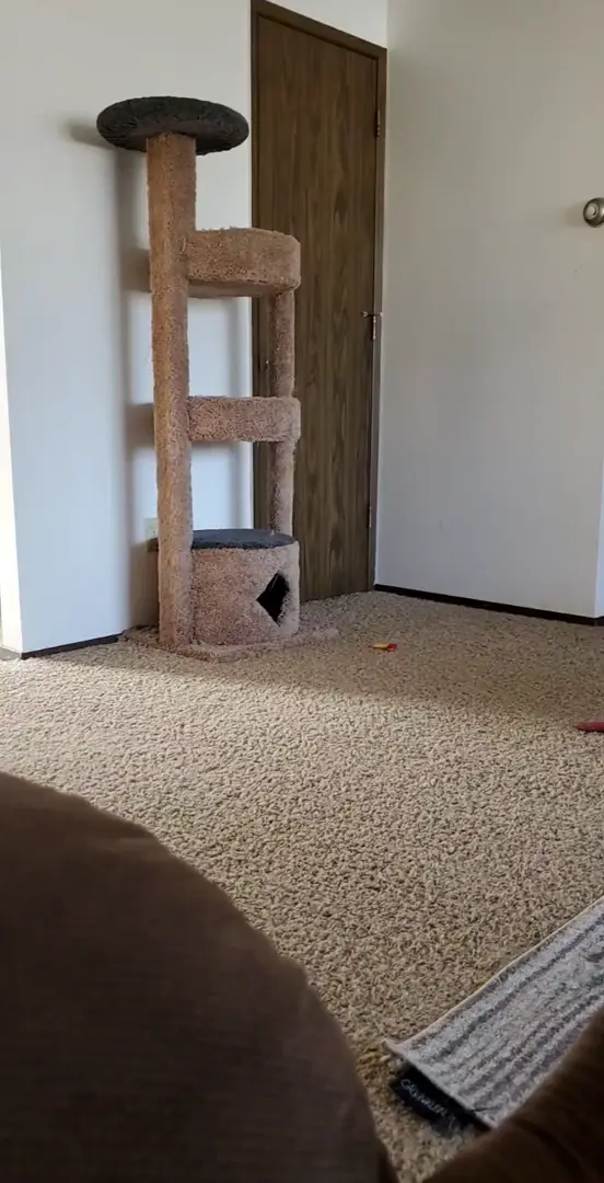 Im not good at titles | Scrolller