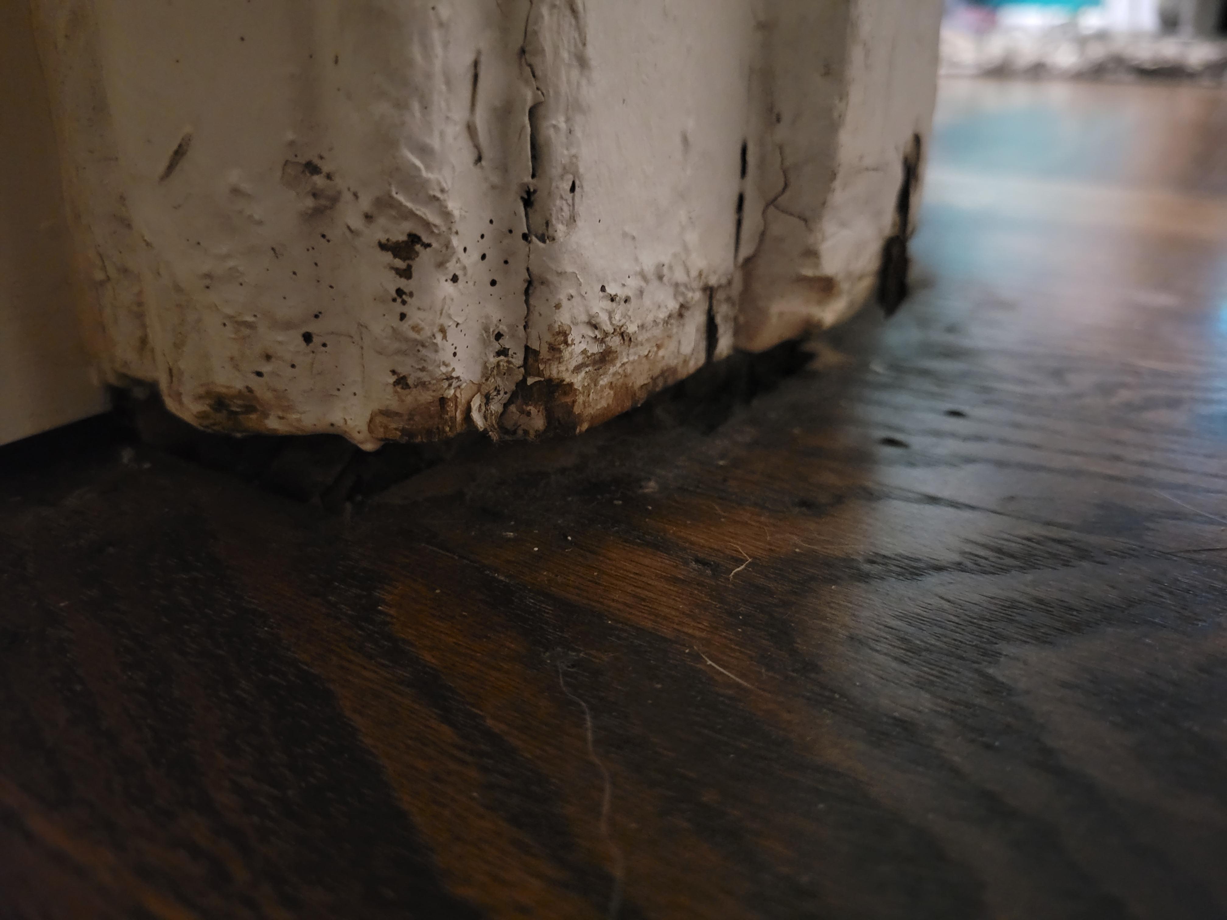New gap floor and baseboards what are they? | Scrolller